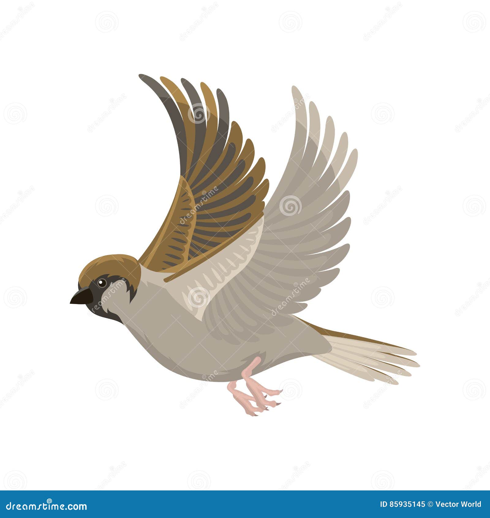 Vectorillustratie Van De Mus De Vliegende Vogel Vector Illustratie ...