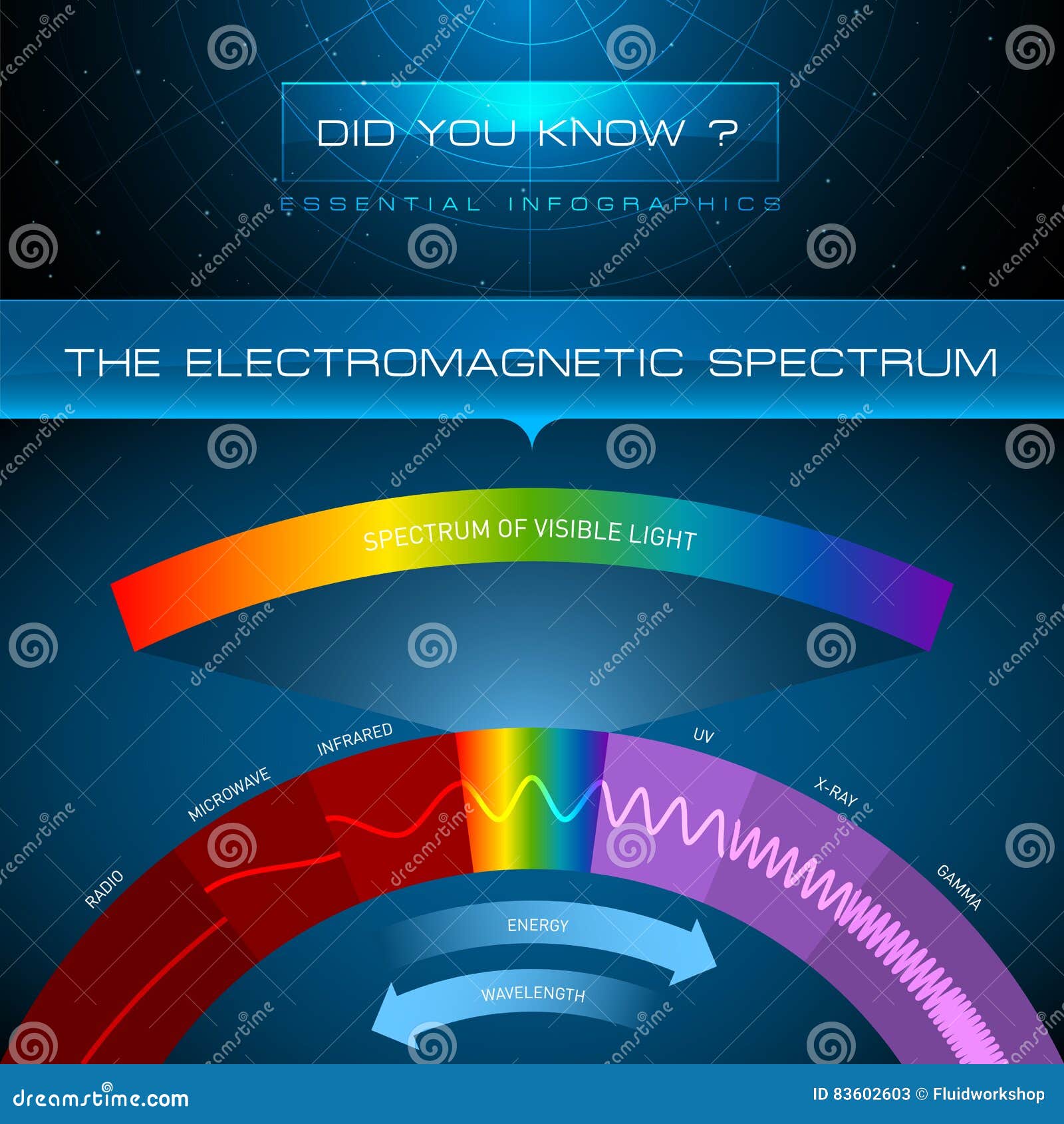 Vectorinfographic - Het Elektromagnetische Spectrum Stock Illustratie ...