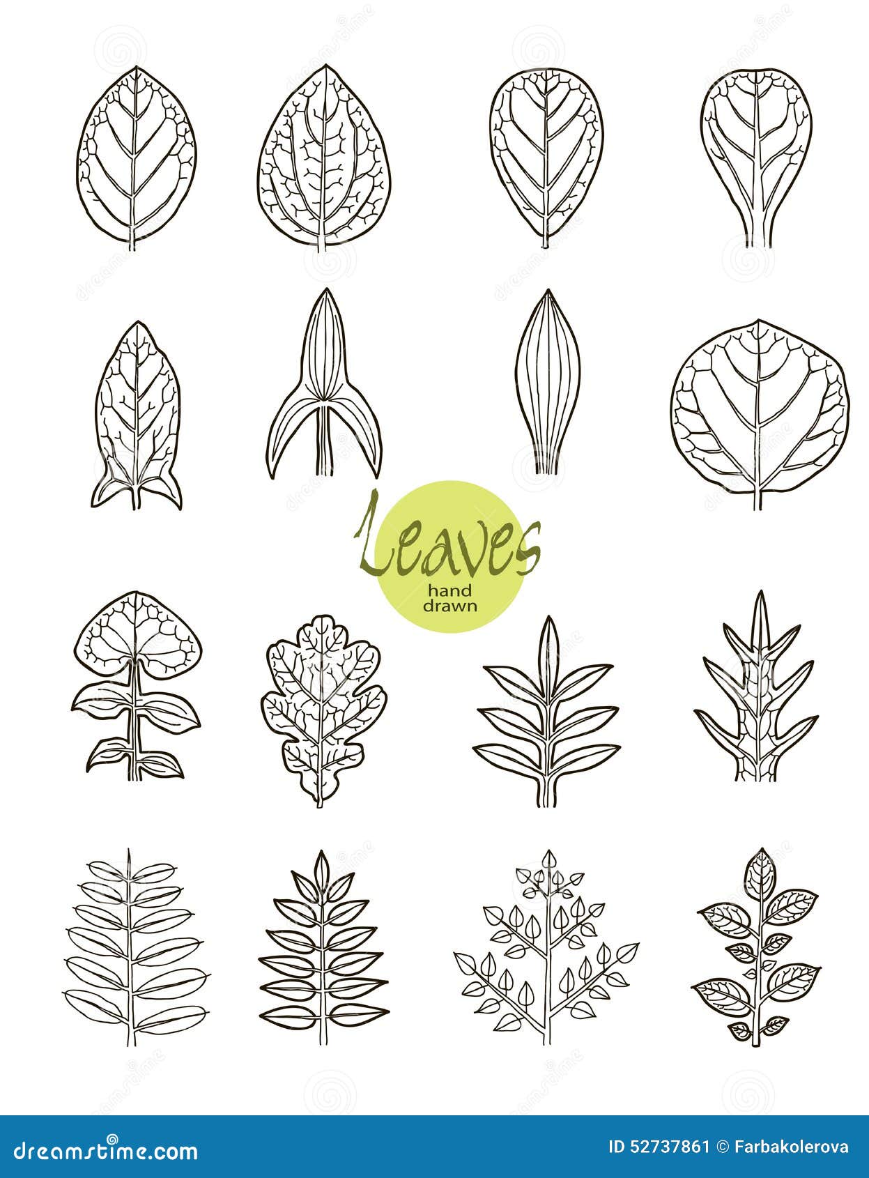 Vectorinzameling Van Verscheidenheden Van Bladvorm Vector Illustratie ...