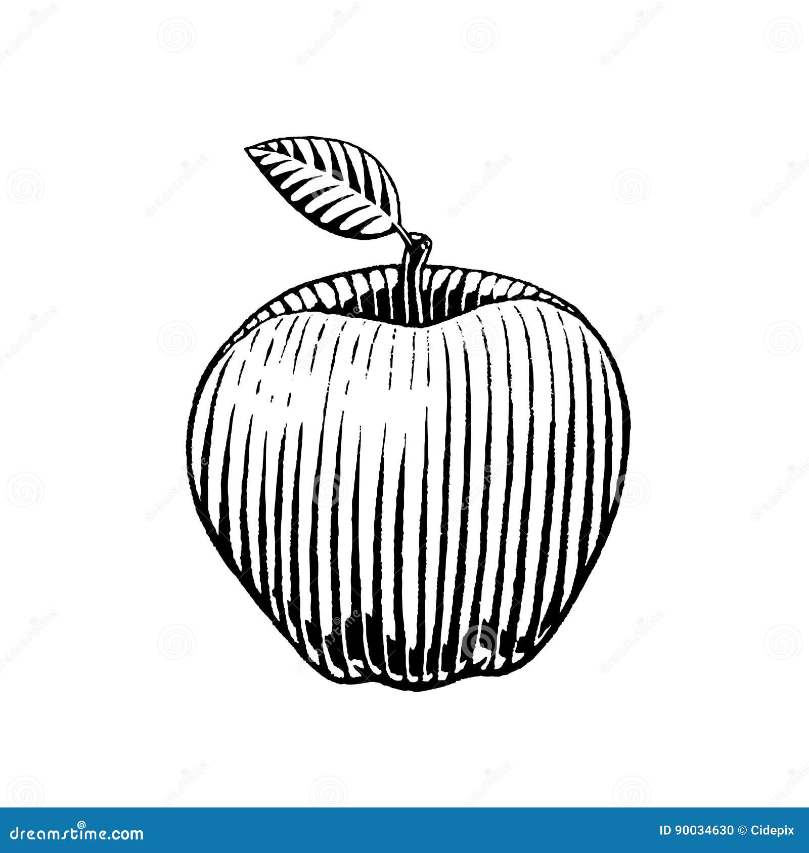 Vectorized Ink Sketch of an Apple Stock Vector - Illustration of hand ...