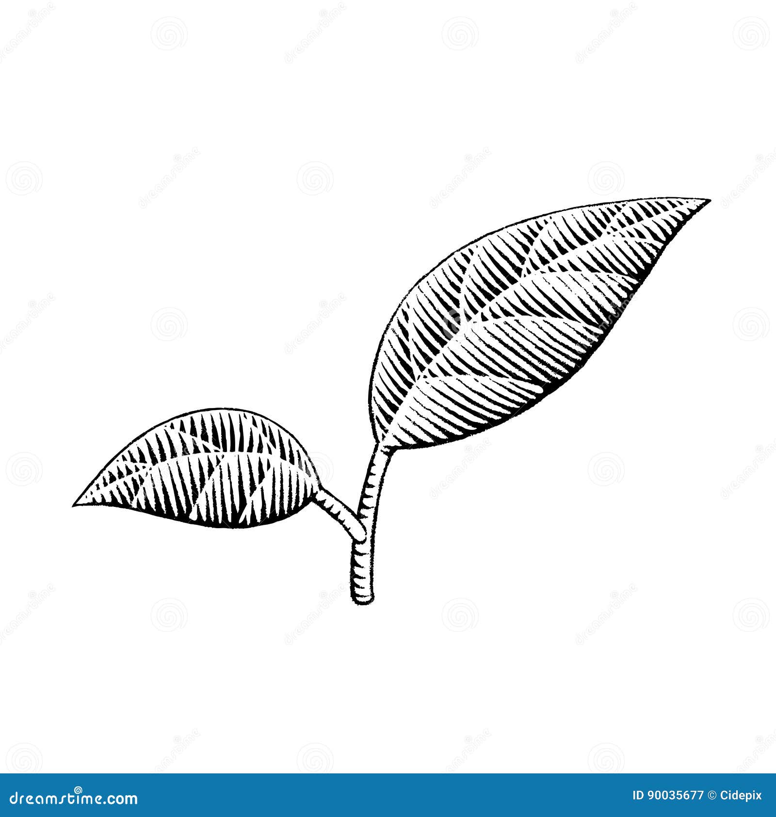 Vectorized Ink Sketch of Leaves Stock Vector - Illustration of cartoon ...