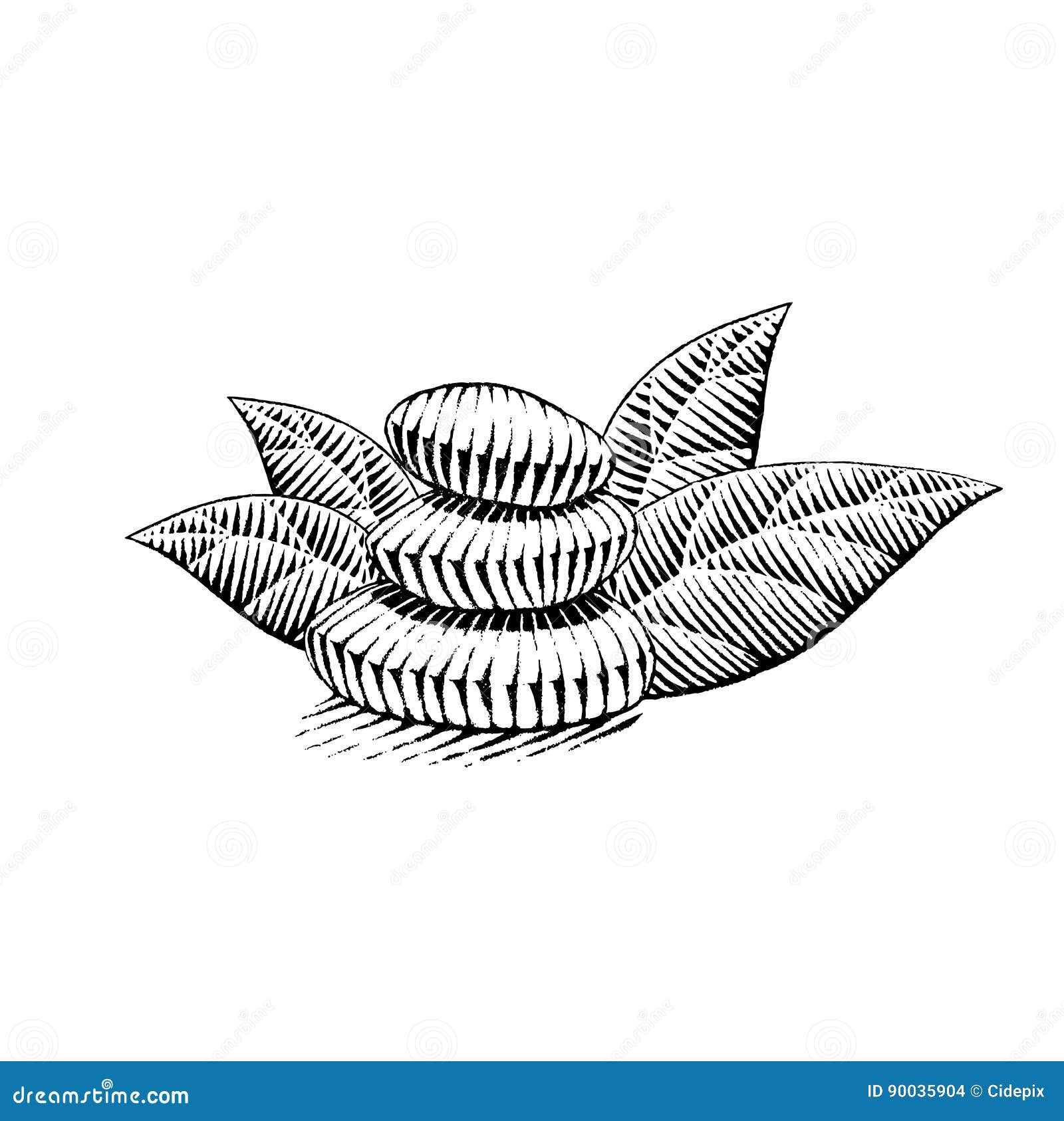 Vectorized Ink Sketch of Spa Stones Stock Vector - Illustration of ...