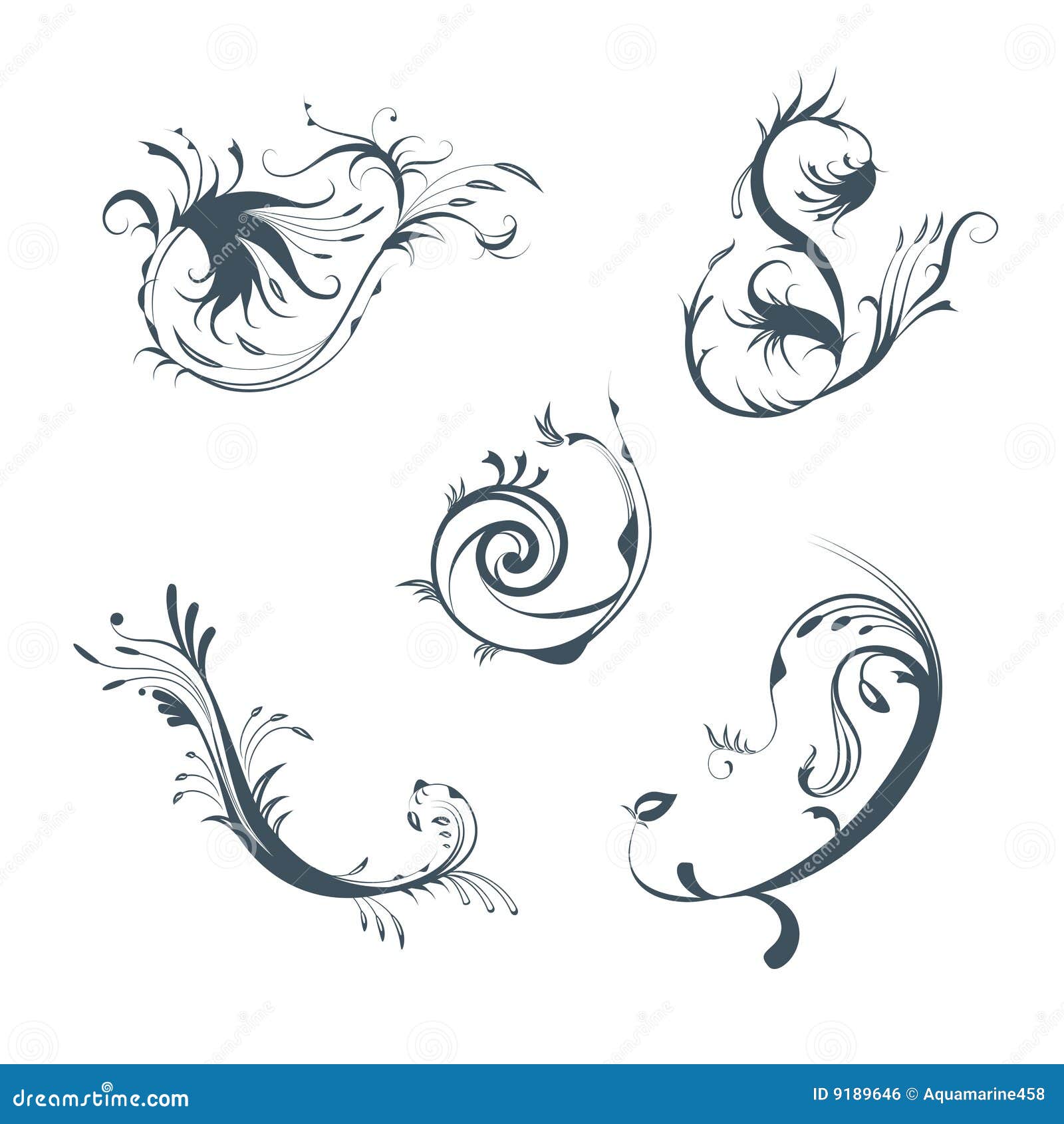 Vectorized Ornaments, Design Elements Stock Vector - Illustration of ...