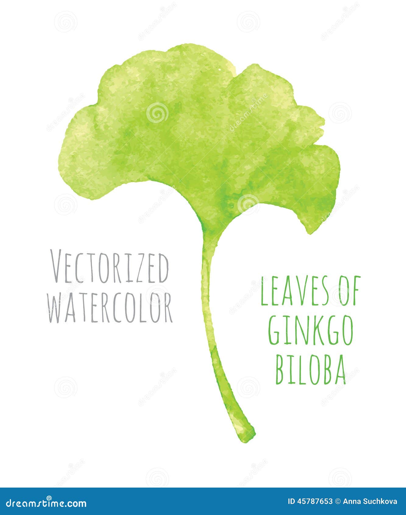 Vectorized Watercolor Hand Drawing Eaf of Ginkgo Stock Vector ...