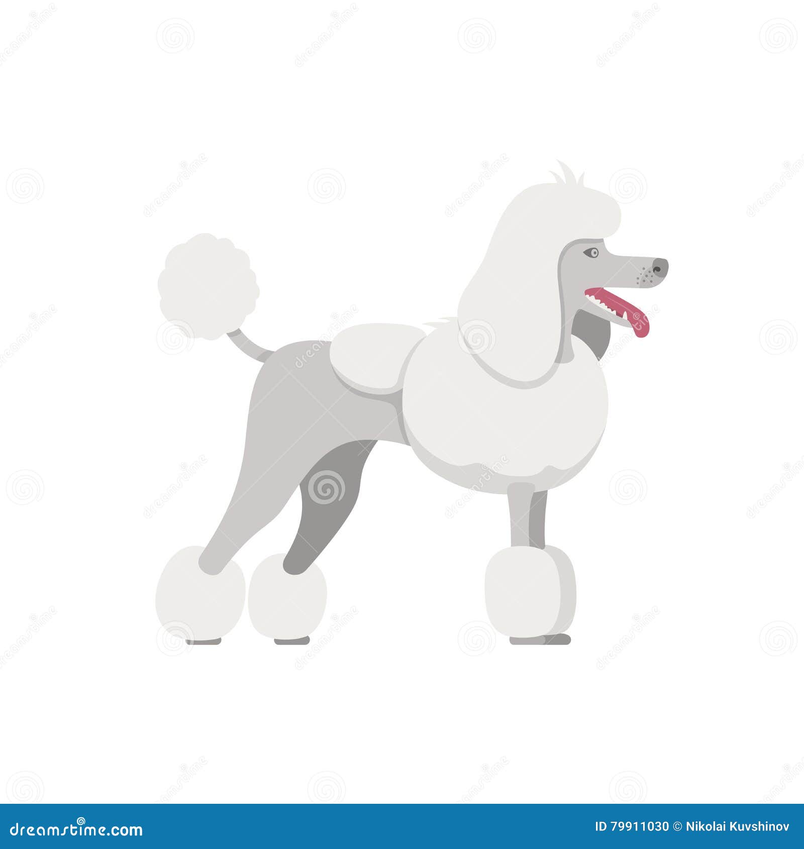 Vectorkleur Van Het Ras Van De Hond Witte Grote Poedel Vector ...