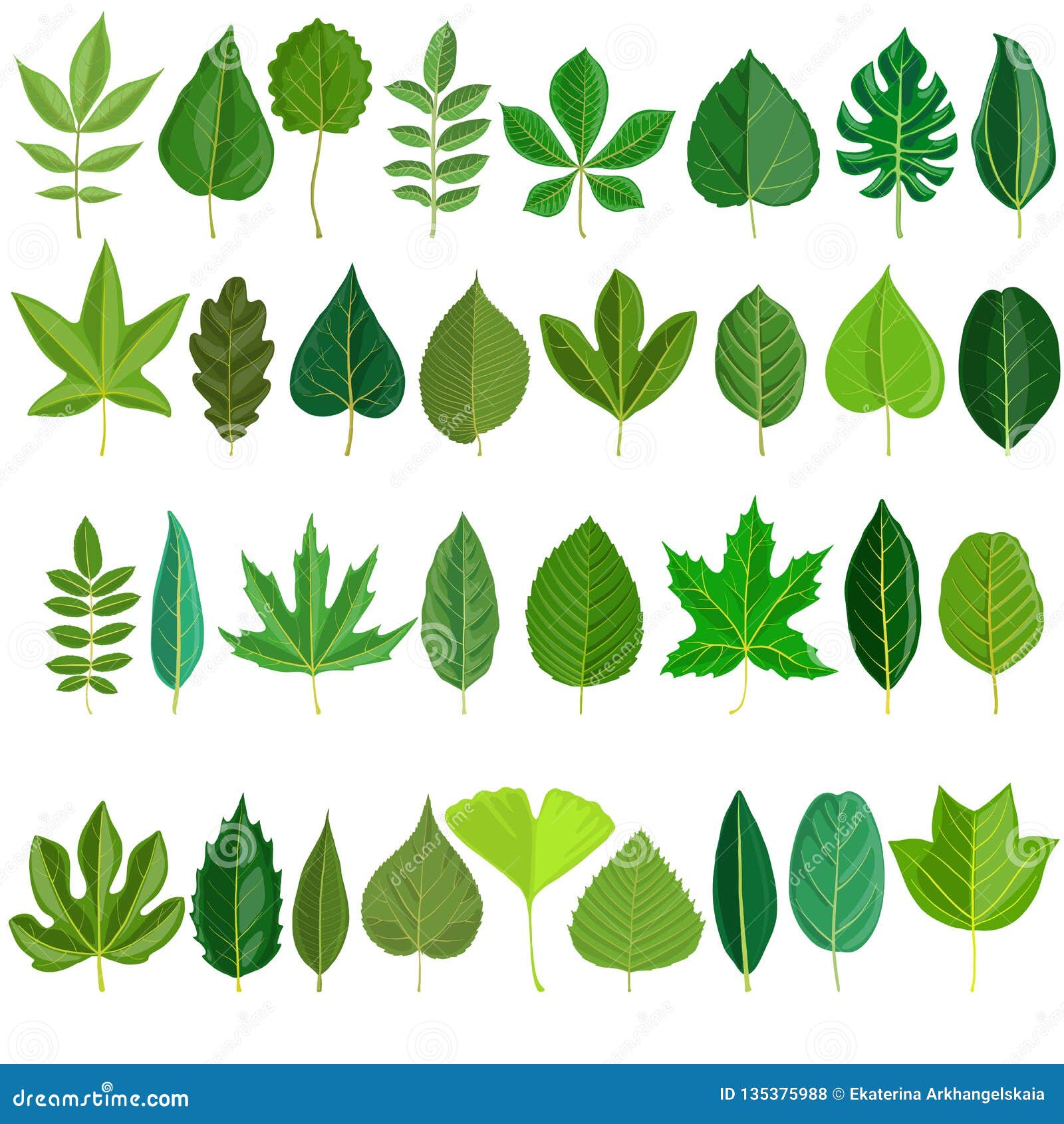 Vectorreeks boombladeren vector illustratie. Illustration of element ...