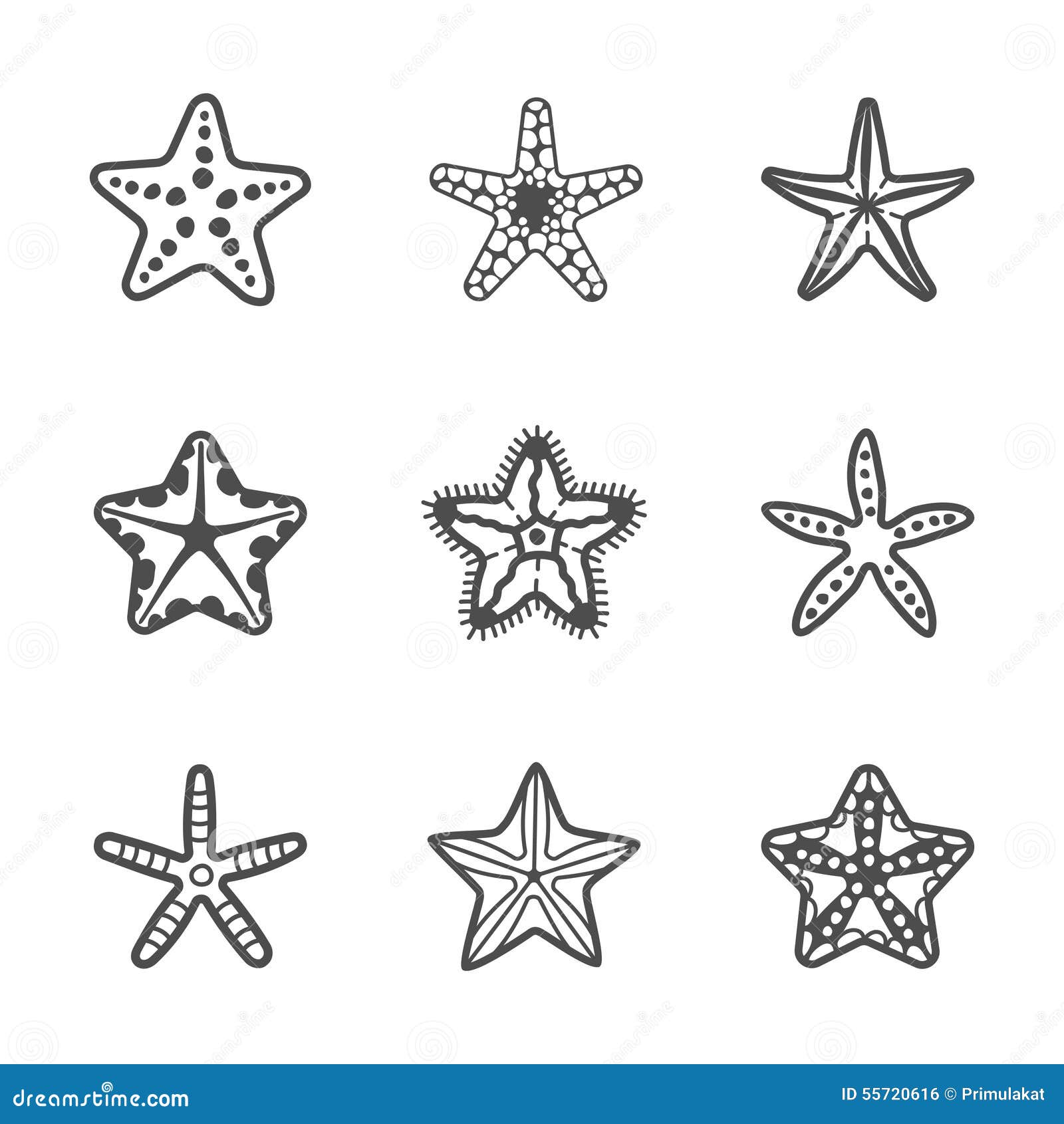 Vectorreeks Van Diverse Contour Overzeese Zeester Vector Illustratie ...