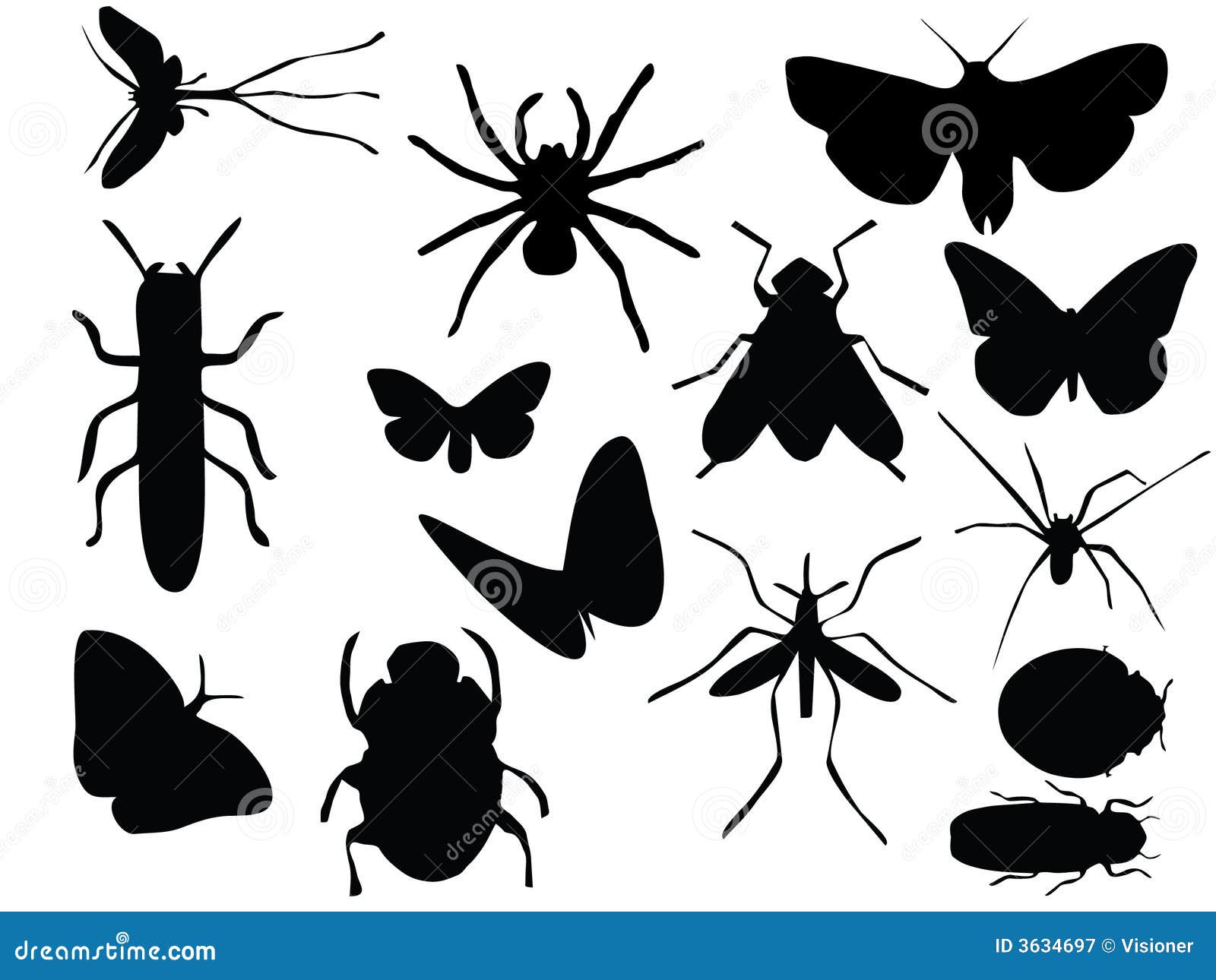 Vectors of insects stock vector. Illustration of spider - 3634697