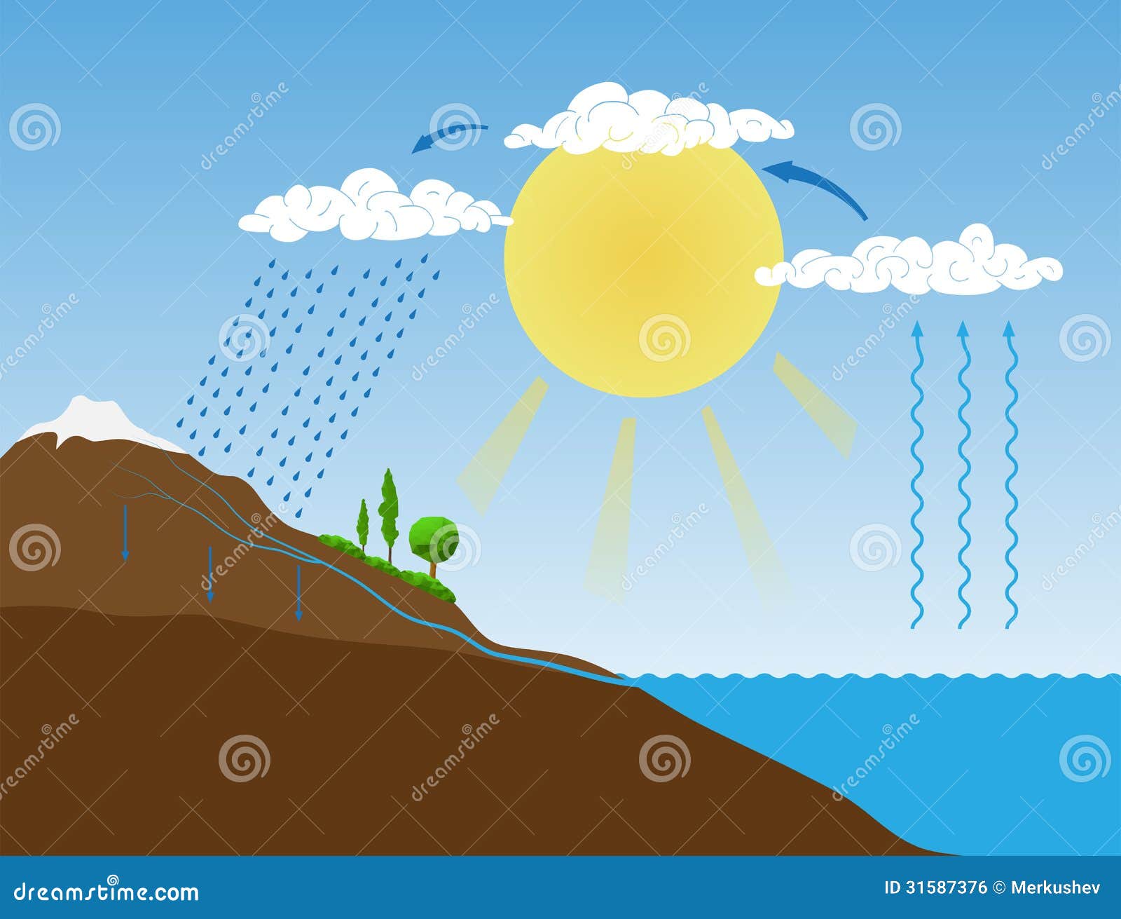 Vectorschema Van De Watercyclus in Aard Vector Illustratie ...