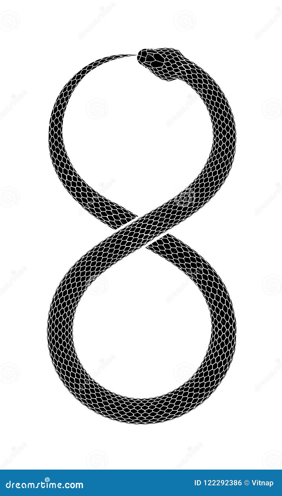 Vectortatoegeringsontwerp Van Slang Eates Het De Eigen Staart Van ` S ...