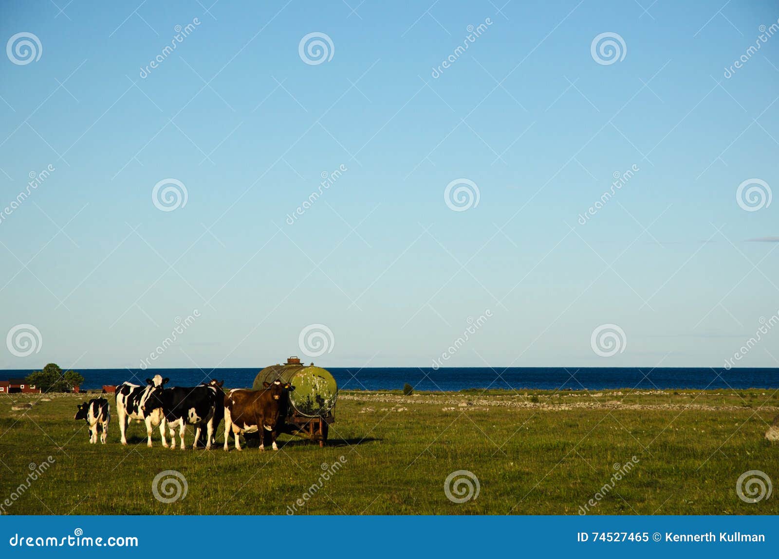 Vee Door Een Oude Watertank Stock Afbeelding - Image of openlucht ...