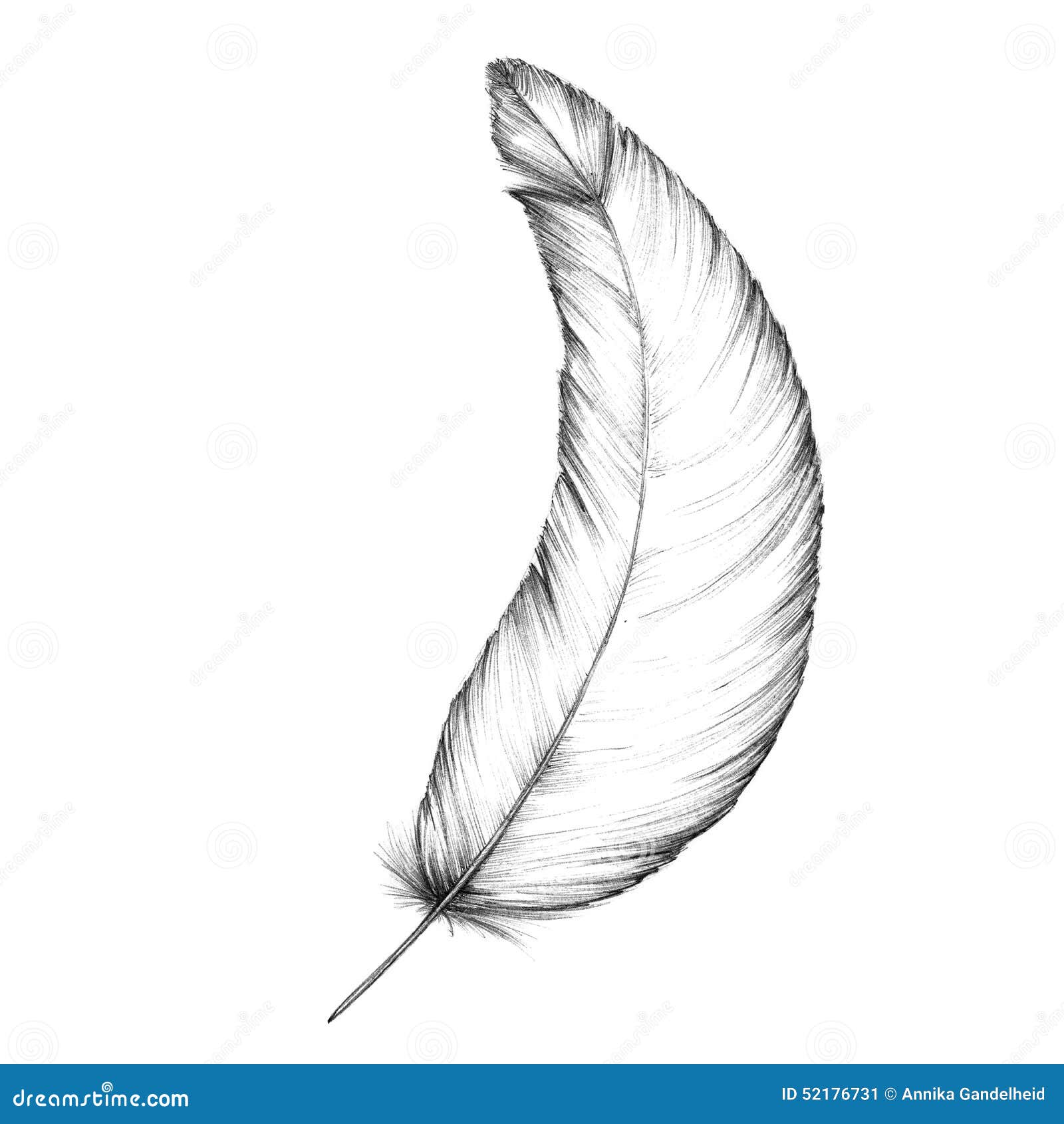 Veer van een vogel stock illustratie. Illustration of illustratie ...