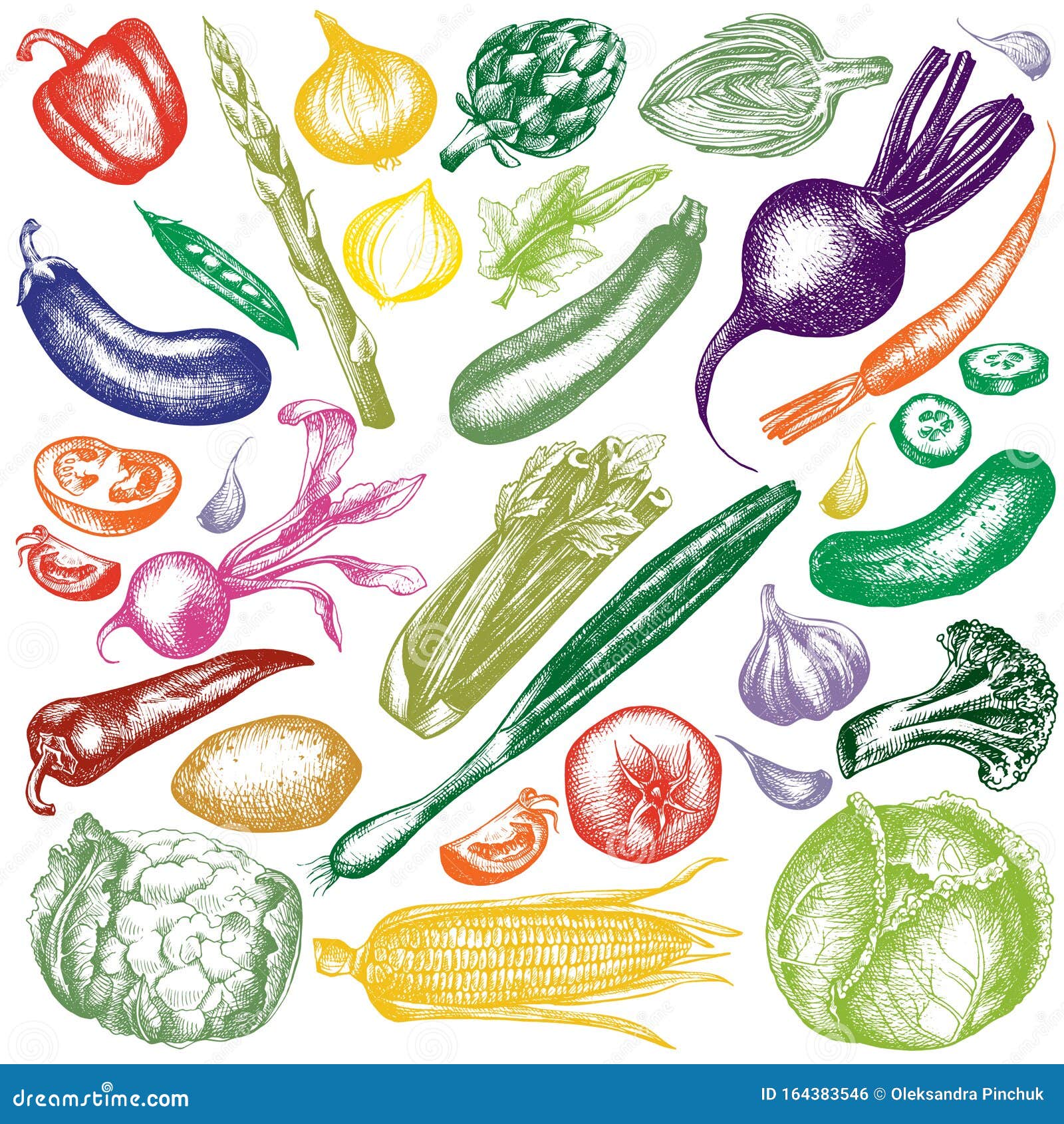 Hand Drawn Colorful Ink Sketch of Vegetable. Set of Various Vintage ...