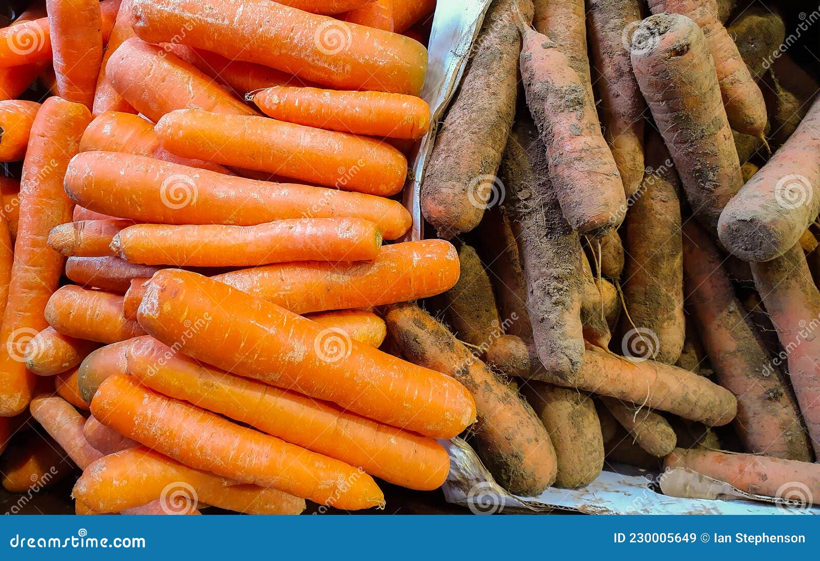 Vegan Friendly Washed and Un Washed Carrots Stock Image - Image of ...