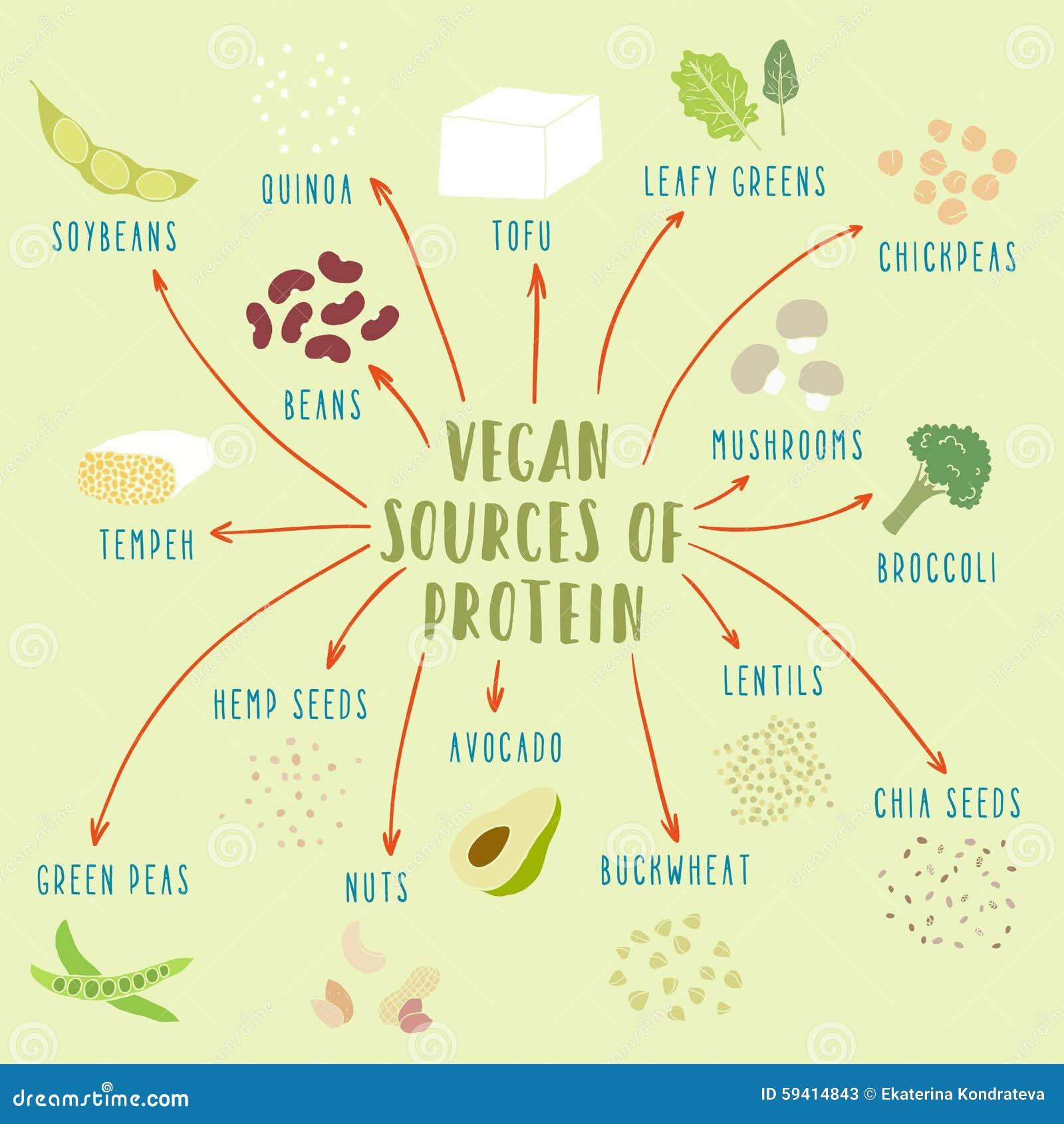 Vegan Plant-based Sources of Protein Stock Vector - Illustration of ...