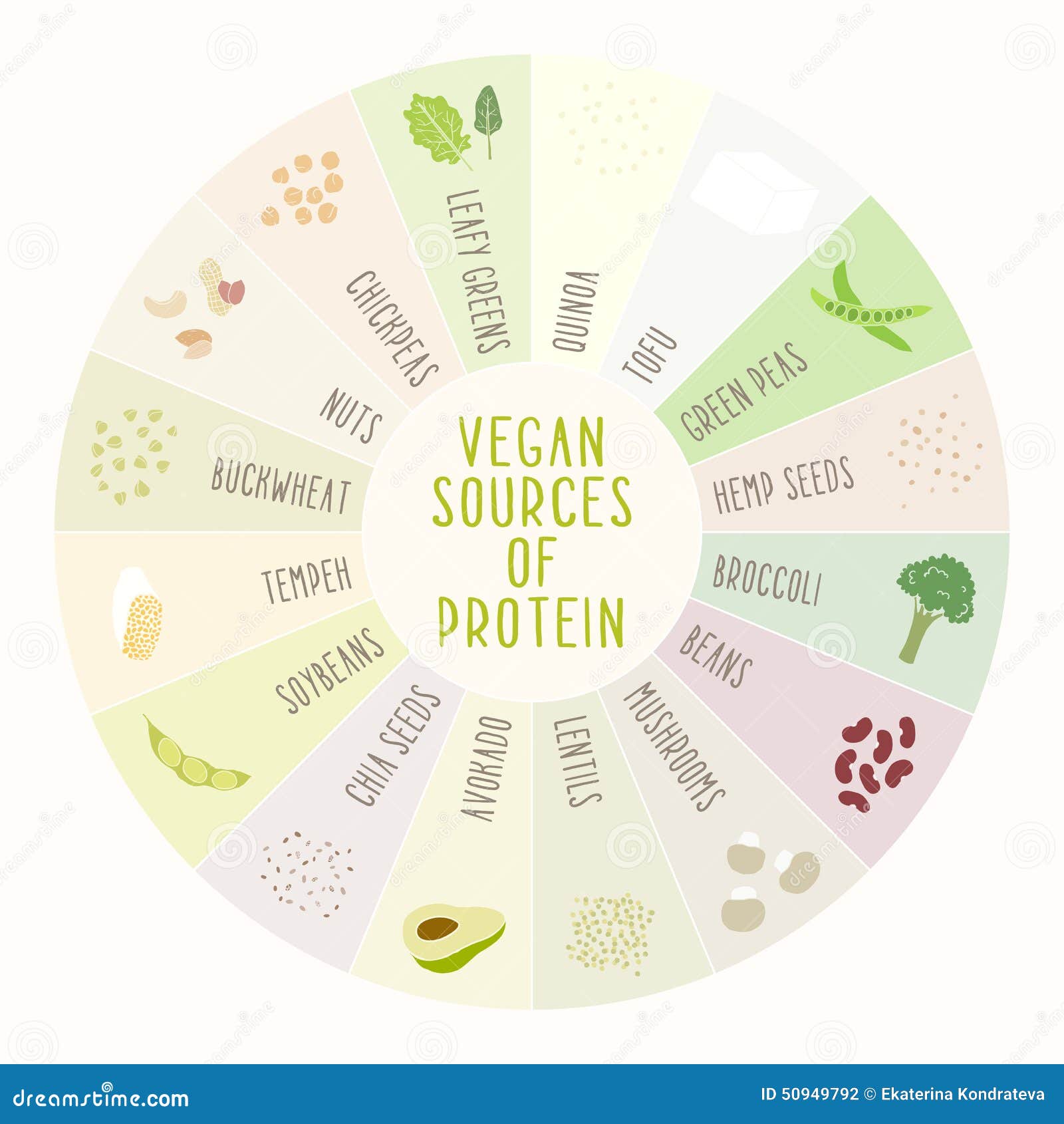 Vegan Sources Of Protein. Plant Based Protein Vector Icons In Cartoon ...