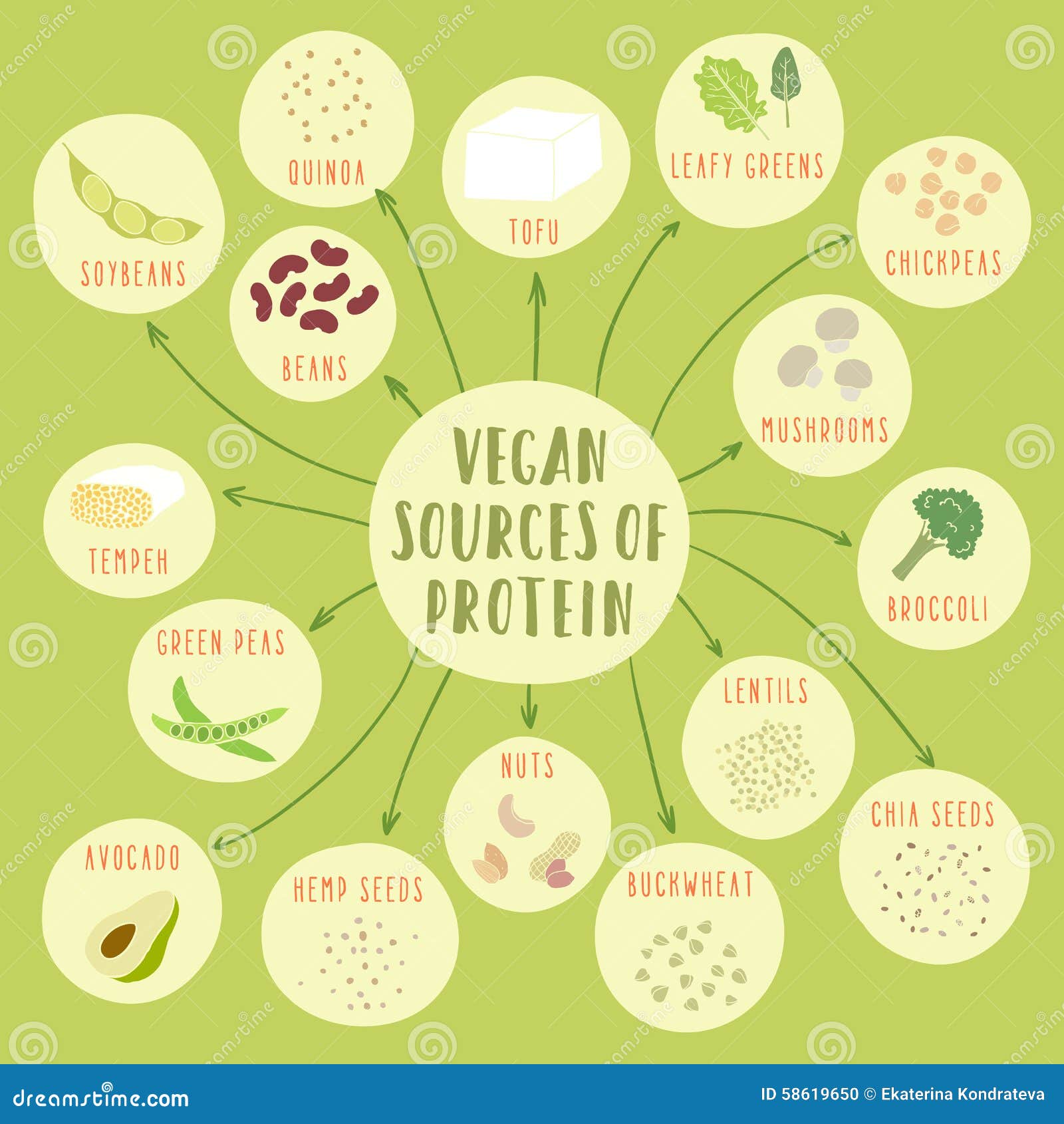 Vegan Sources Of Protein. Plant Based Protein Vector Icons In Cartoon ...