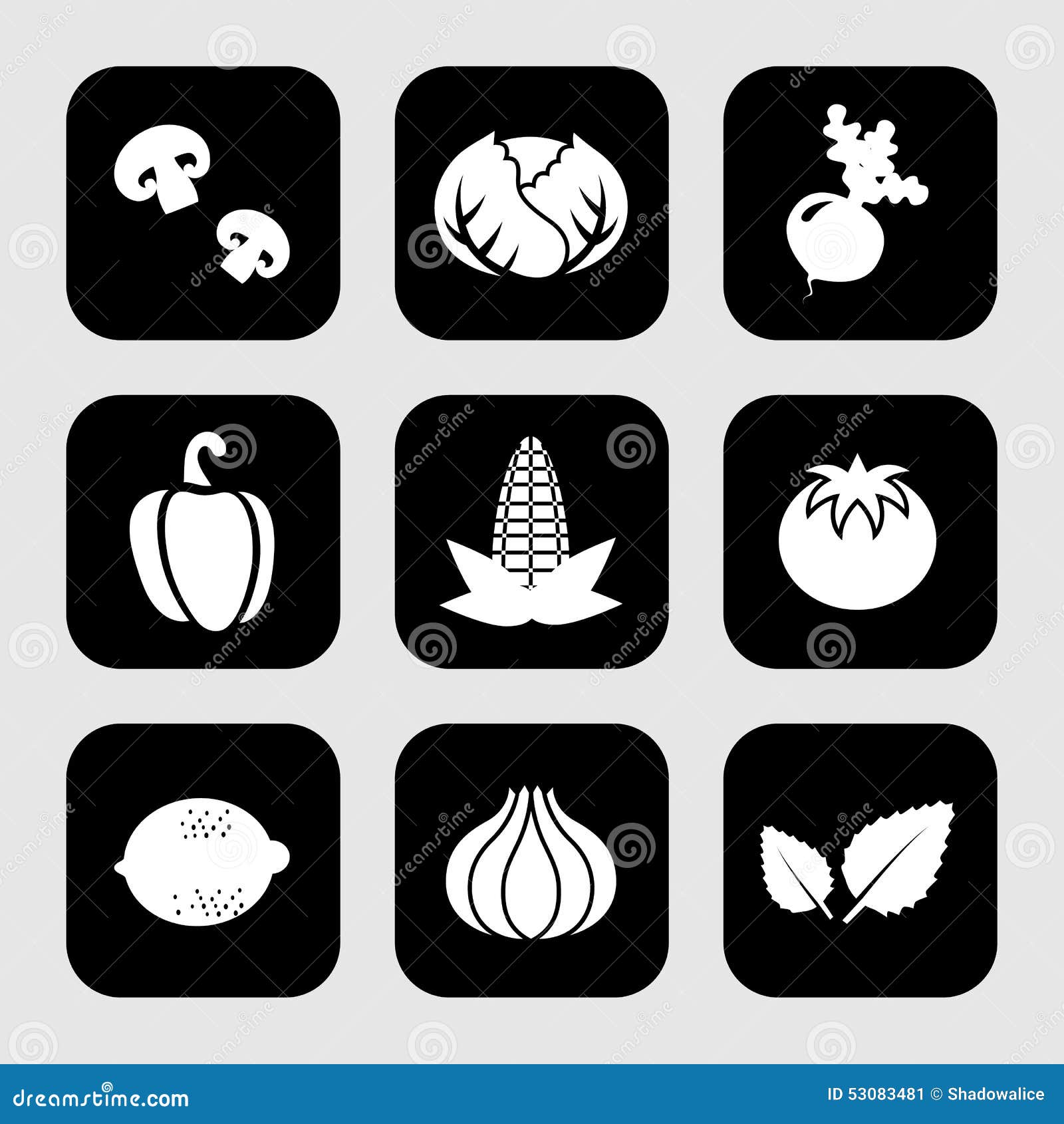 Vegatable Icons Set Great for Any Use. Vector EPS10 Stock Vector ...