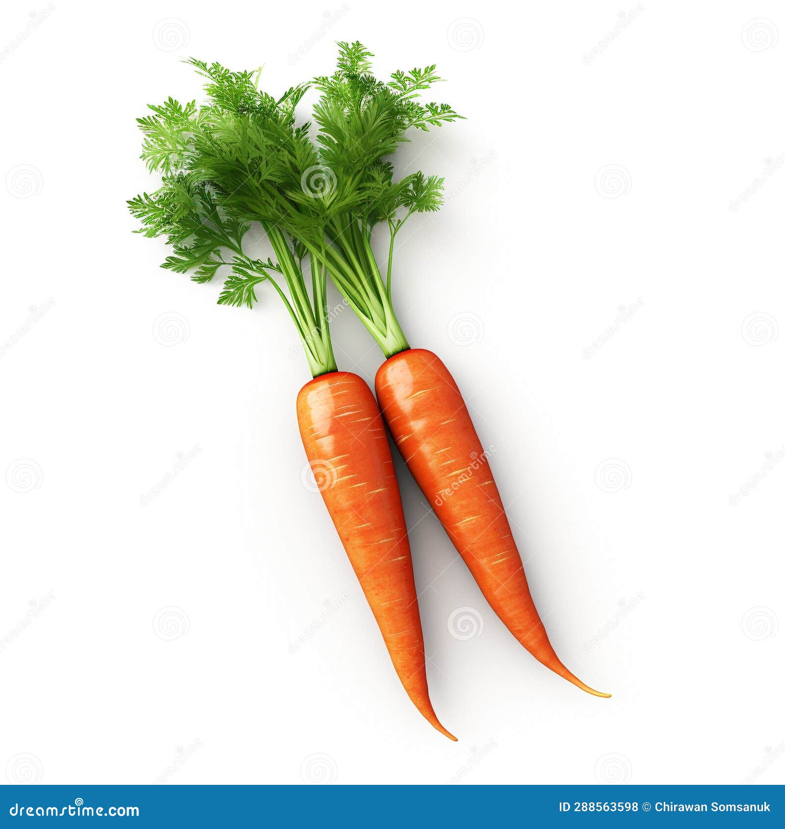 Vegatable on White Background Stock Photo - Image of fruit, farming ...