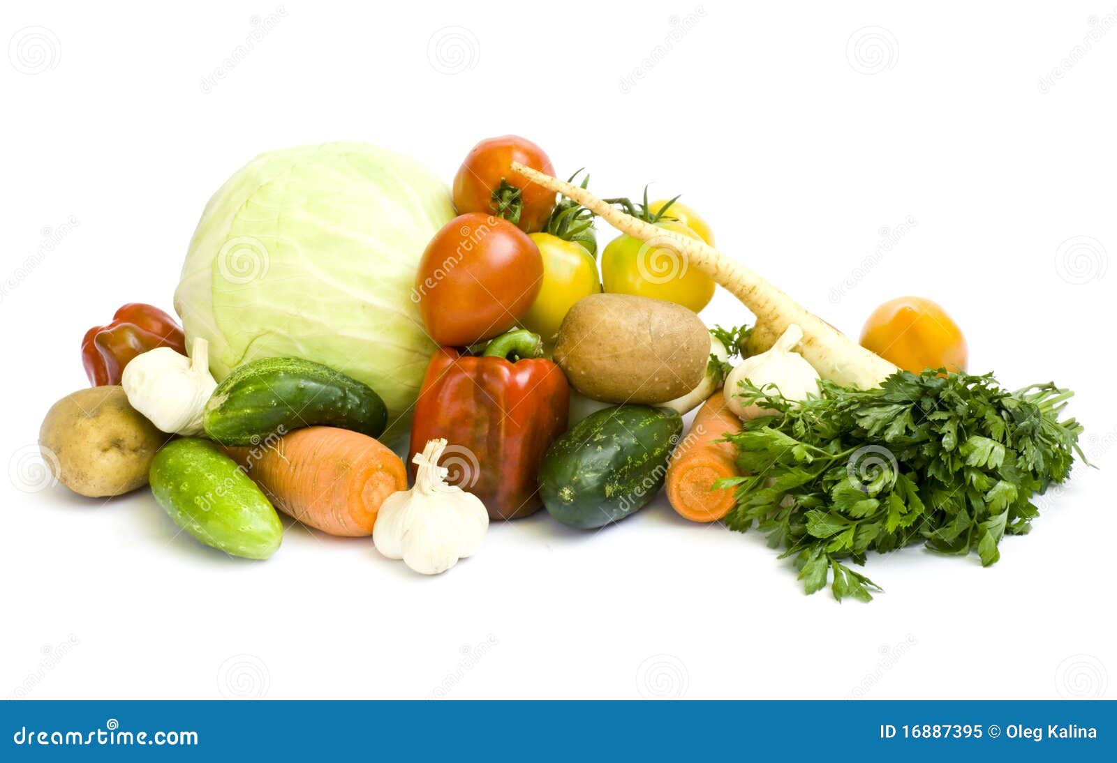 Vegatables stock image. Image of growing, cabbage, kitchen - 16887395