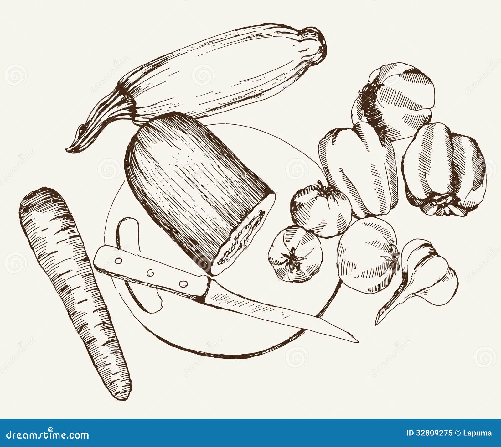 Vegatables stock vector. Illustration of gardening, vector - 32809275