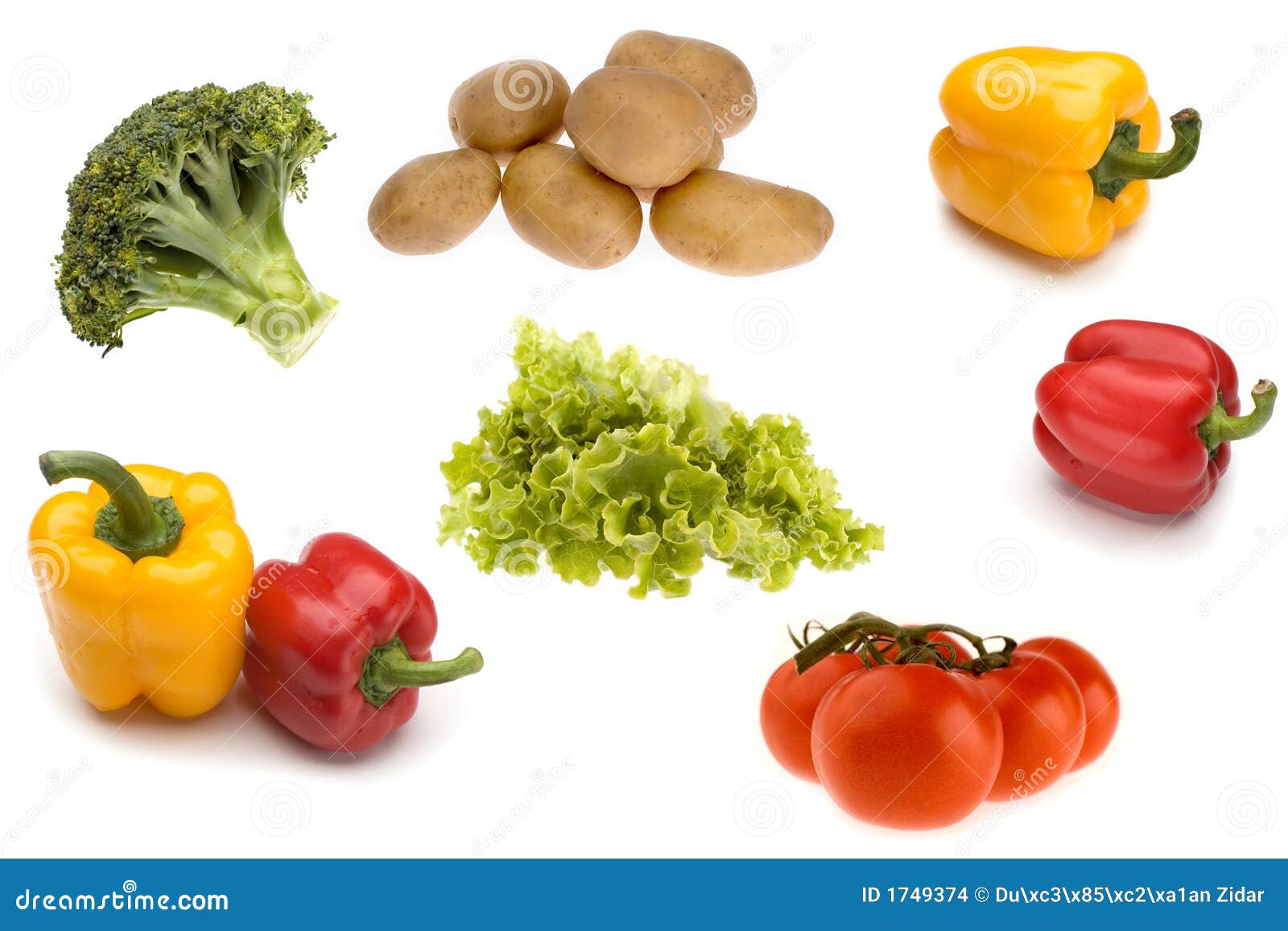 Vege stock photo. Image of holiday, vegetables, fall, pepper - 1749374
