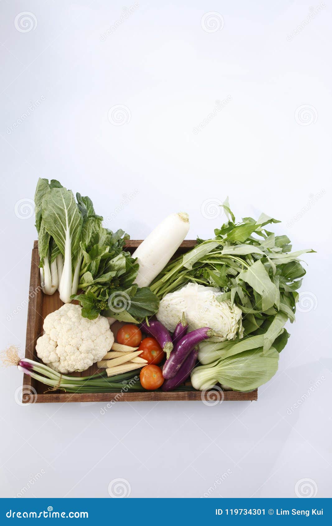 Vege stock image. Image of green, pepper, cabbage, corn - 119734301