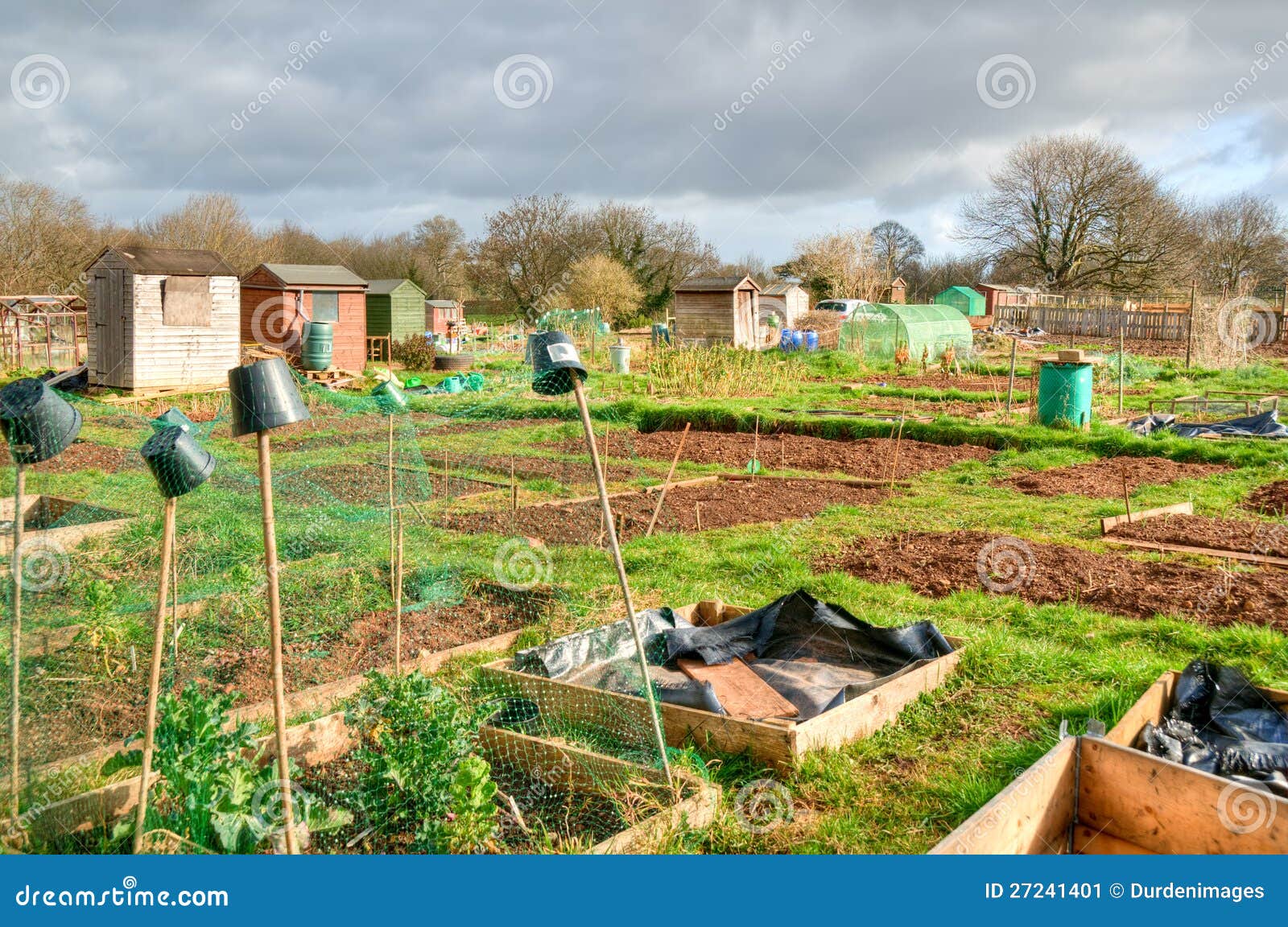 Vegetable allotments stock image. Image of fresh, horticulture - 27241401