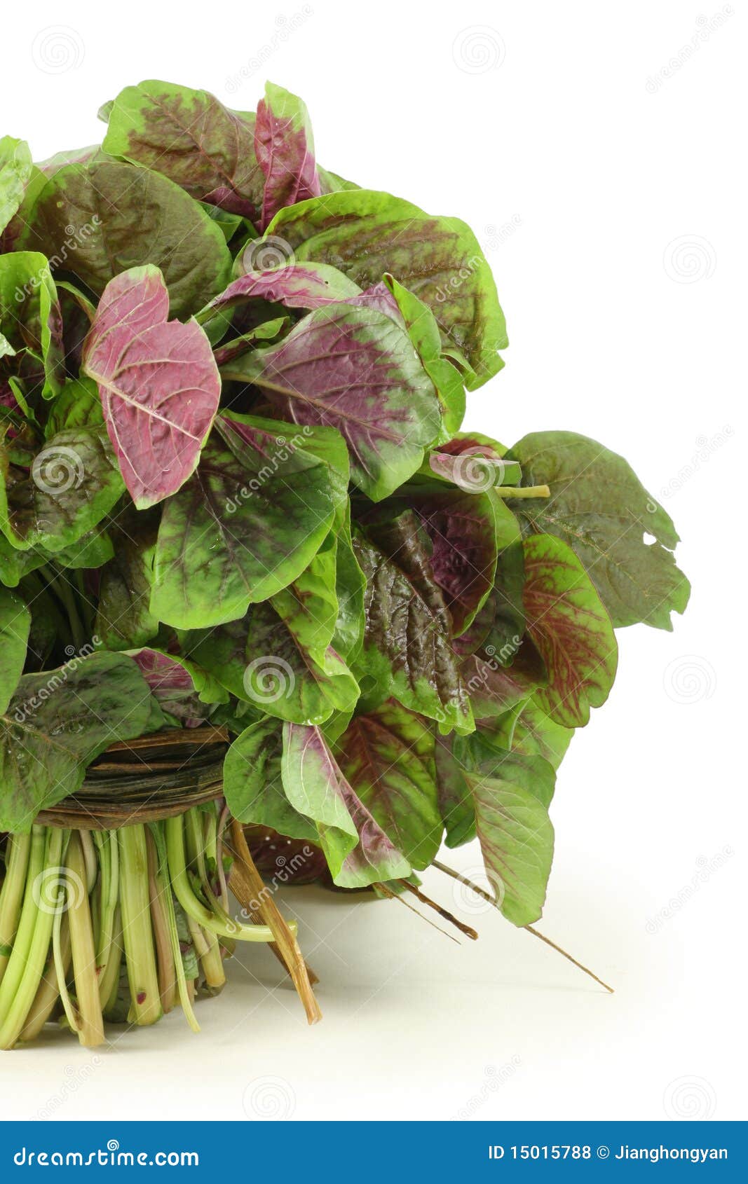 Vegetable of the amaranth stock photo. Image of diet - 15015788