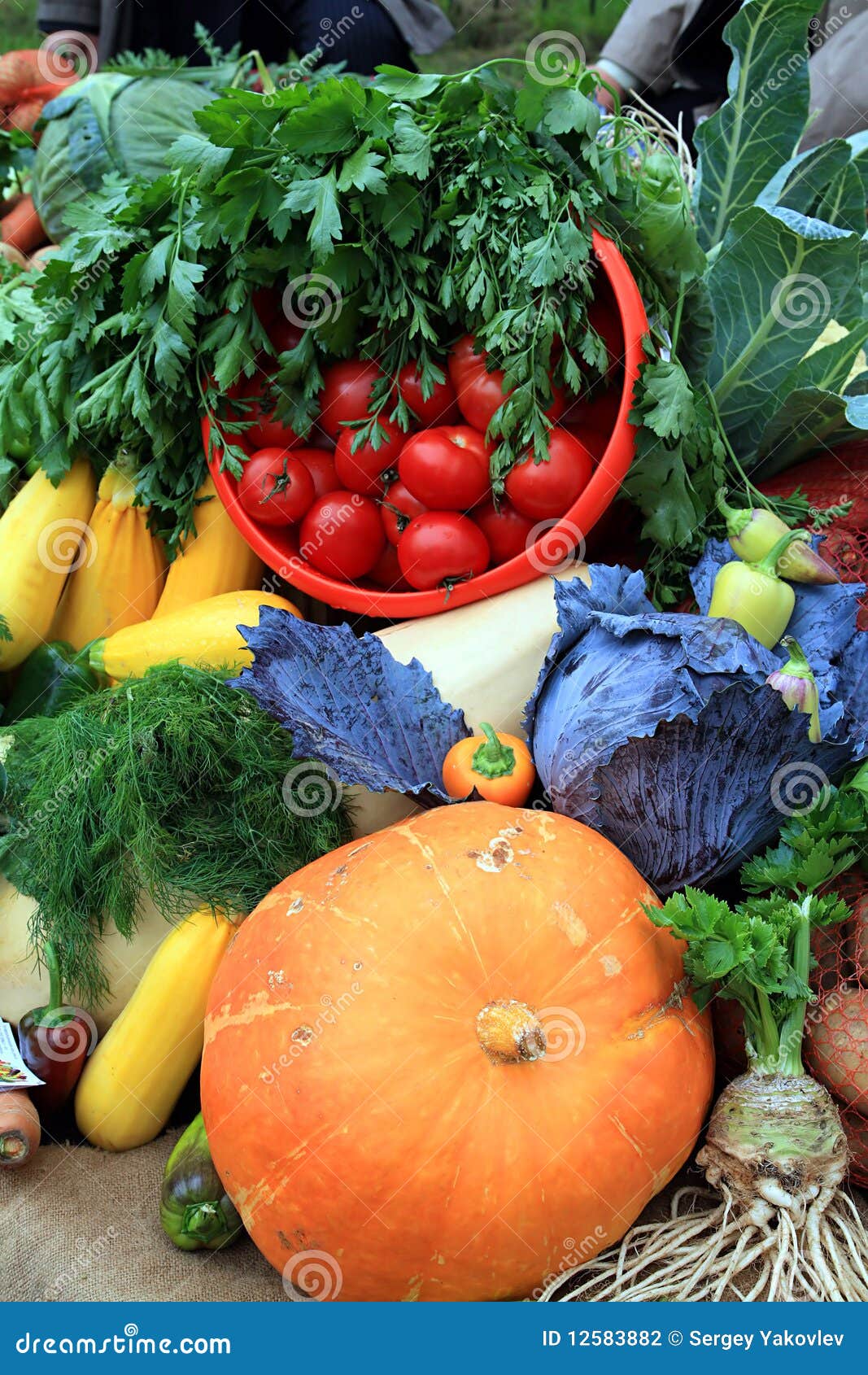 Vegetable background stock photo. Image of color, ingredient - 12583882