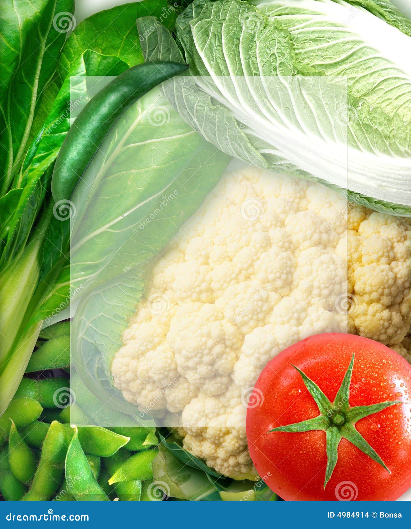 Vegetable background stock photo. Image of cabbage, lifestyle - 4984914