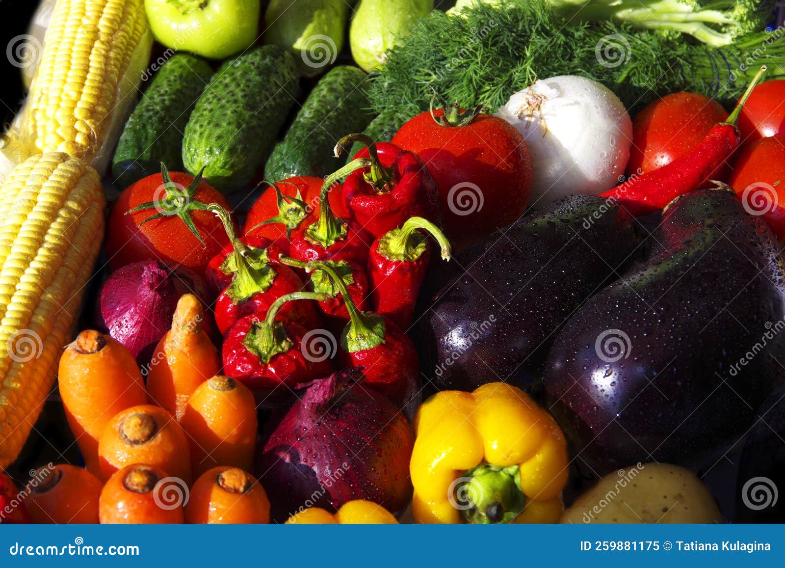 Vegetable Background. Multi-colored Fresh Vegetables are Laid Out on ...