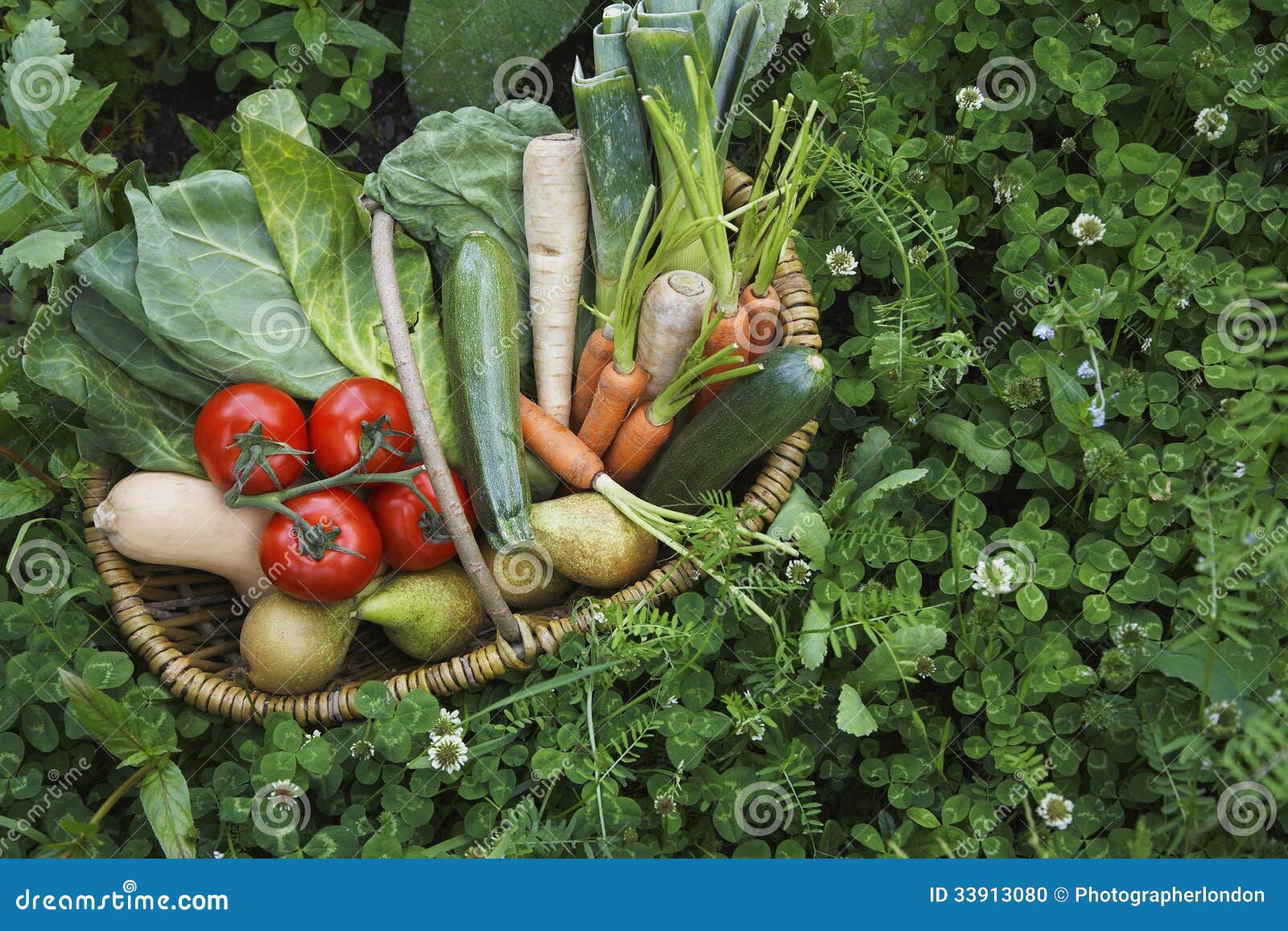 Vegetable Basket Surrounded by Clover Stock Photo - Image of green ...