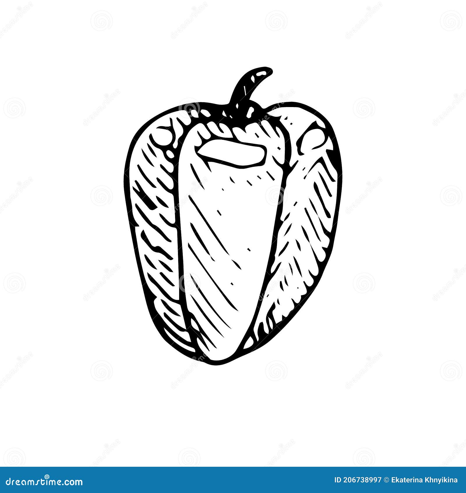 Vegetable Bell Pepper, Vector Illustration, Hand Drawing Sketch Stock ...