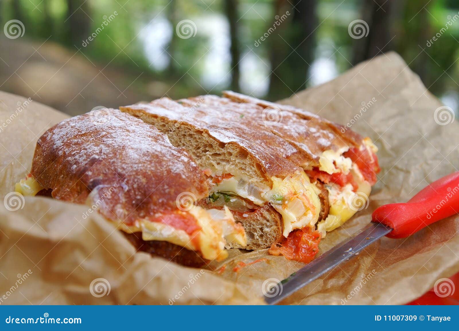 Vegetable Bread at a Picnic Stock Image - Image of tomato, picnic: 11007309