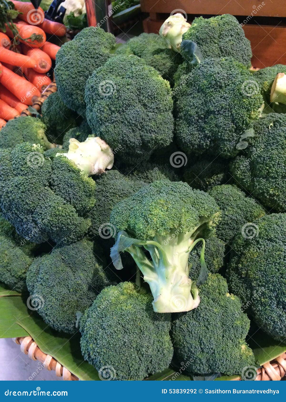 Vegetable broccoli stock photo. Image of vegetable, food - 53839292
