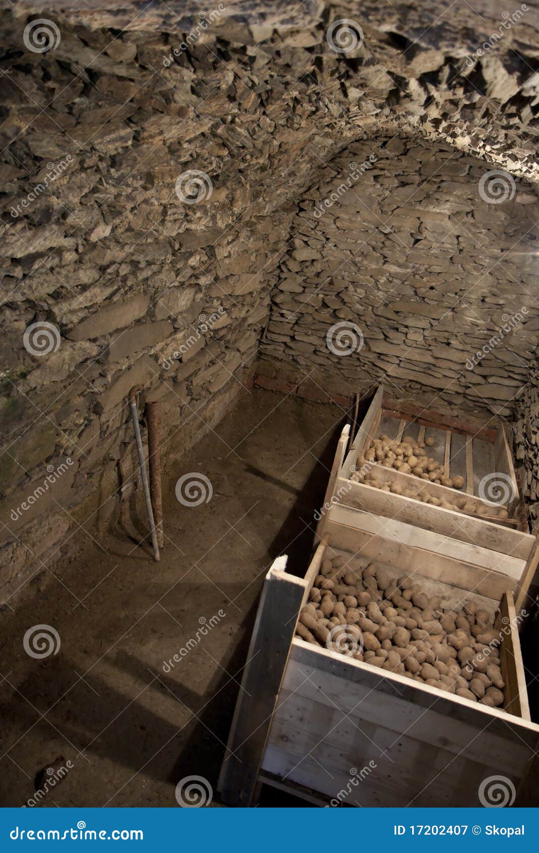 Vegetable cellar stock image. Image of house, wall, vegetable - 17202407