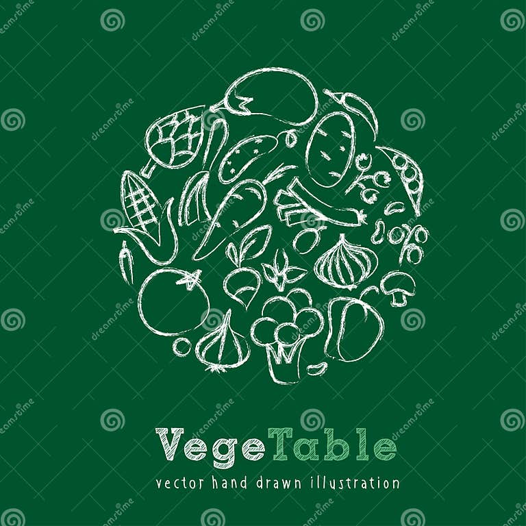 Vegetable chalk stock vector. Illustration of chalk, fennel - 87720087
