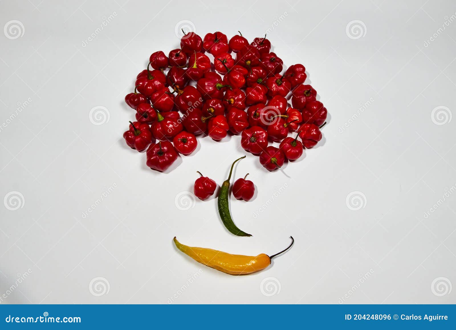 Vegetable Chilli, Chile Face on White Backgroung Stock Photo - Image of ...