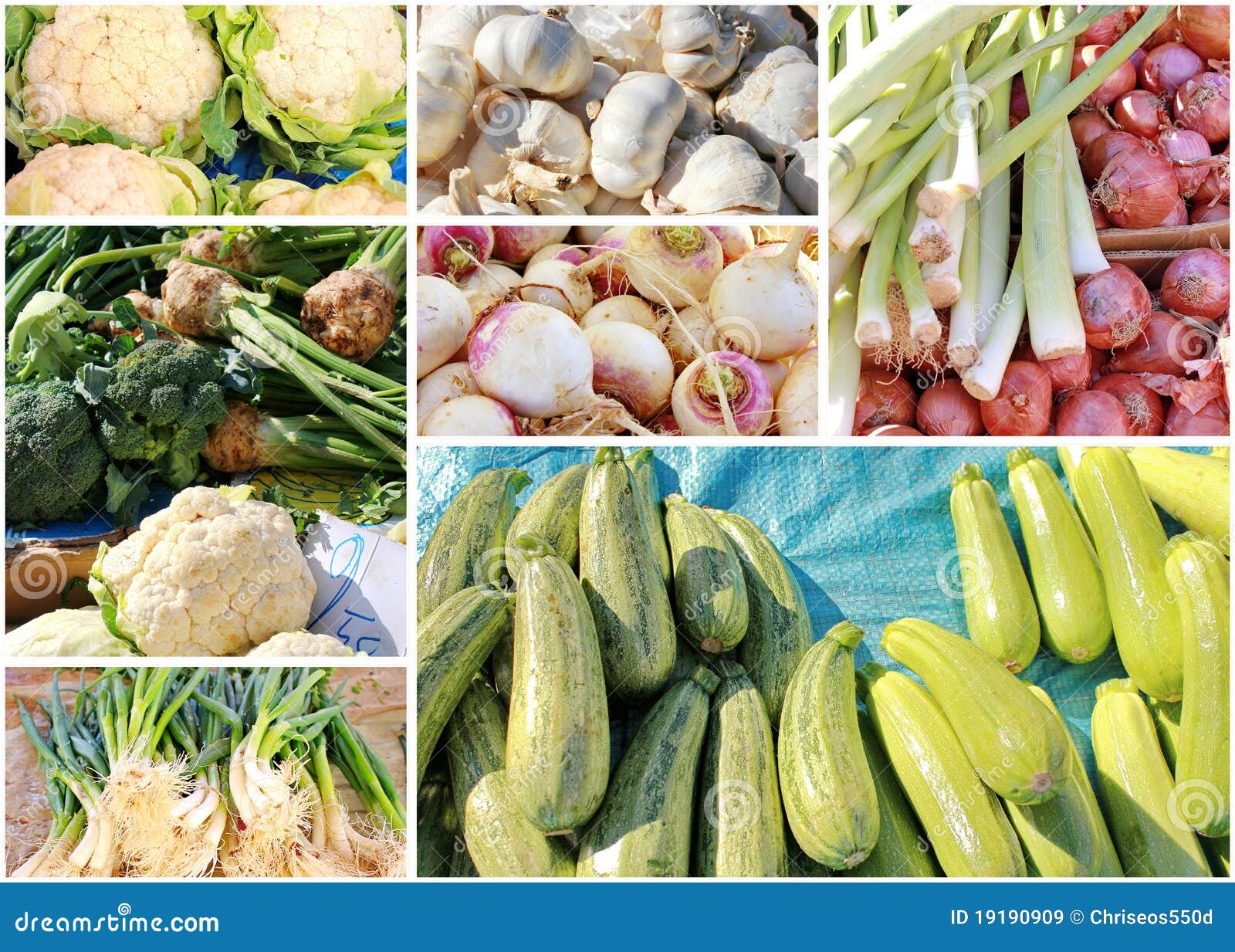 Vegetable collage stock image. Image of gardening, green - 19190909