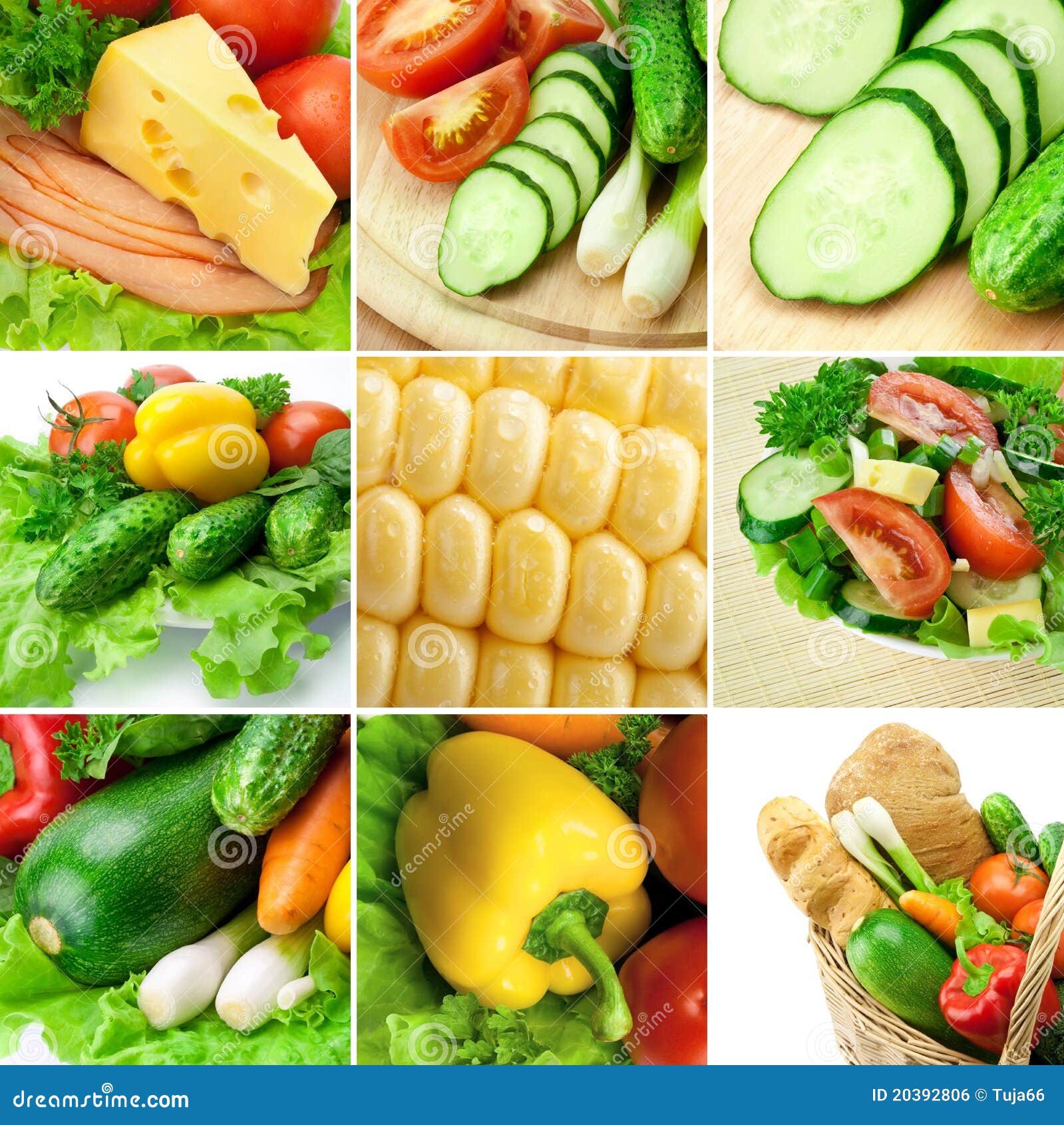 Vegetable collage stock photo. Image of isolated, collage - 20392806