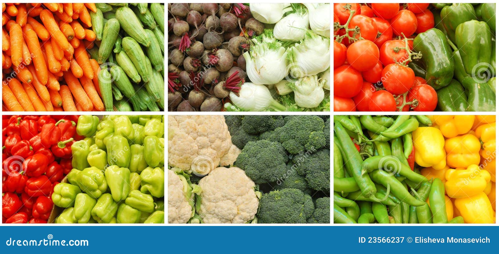 Vegetable Collage Royalty-Free Stock Photography | CartoonDealer.com ...