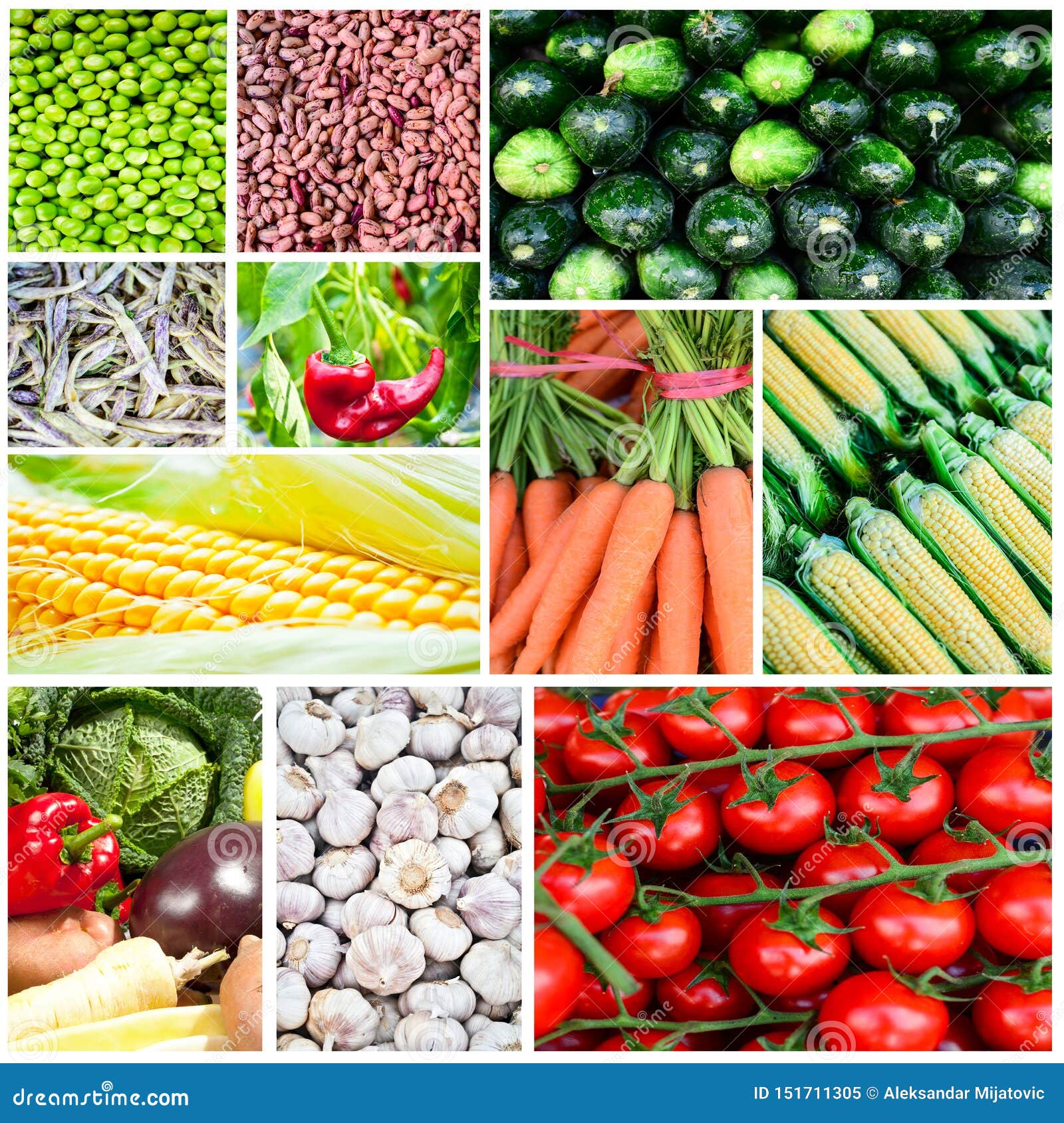 Vegetable Collage - Group of Various Fresh Vegetables Stock Image ...