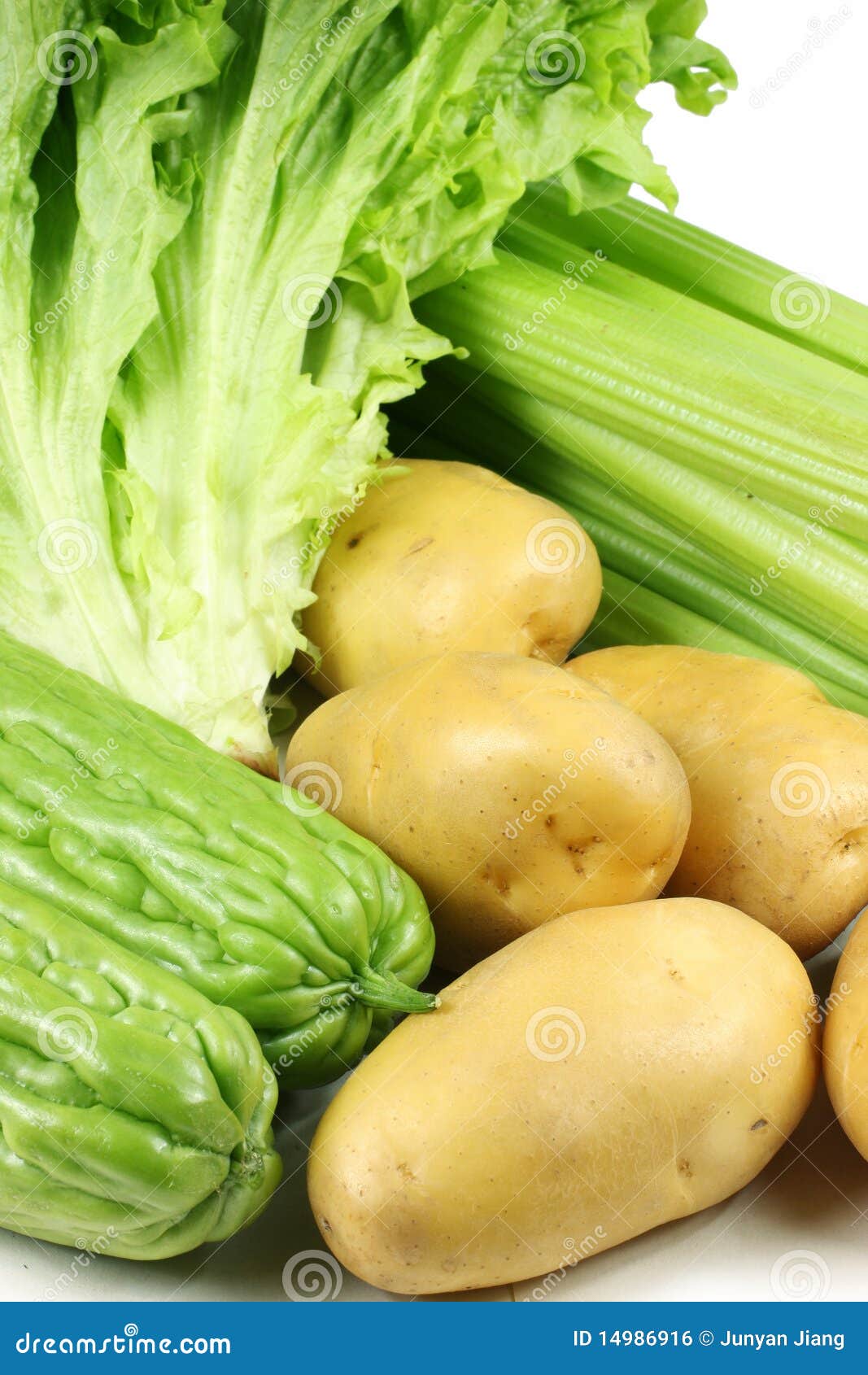 Vegetable collection stock photo. Image of gourd, tomato - 14986916