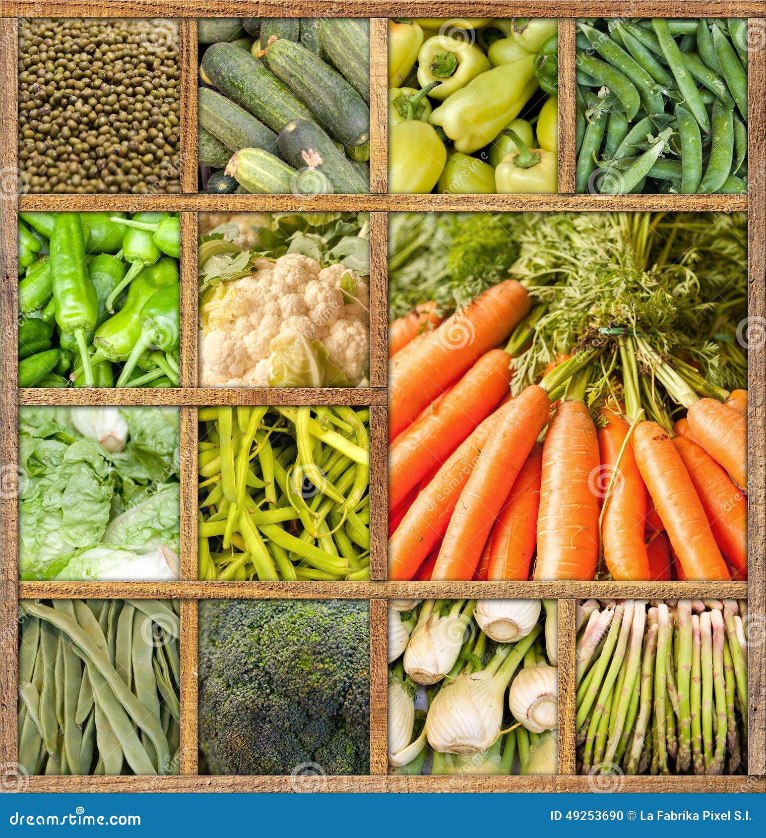 Vegetable collection stock photo. Image of lettuce, asparagus - 49253690