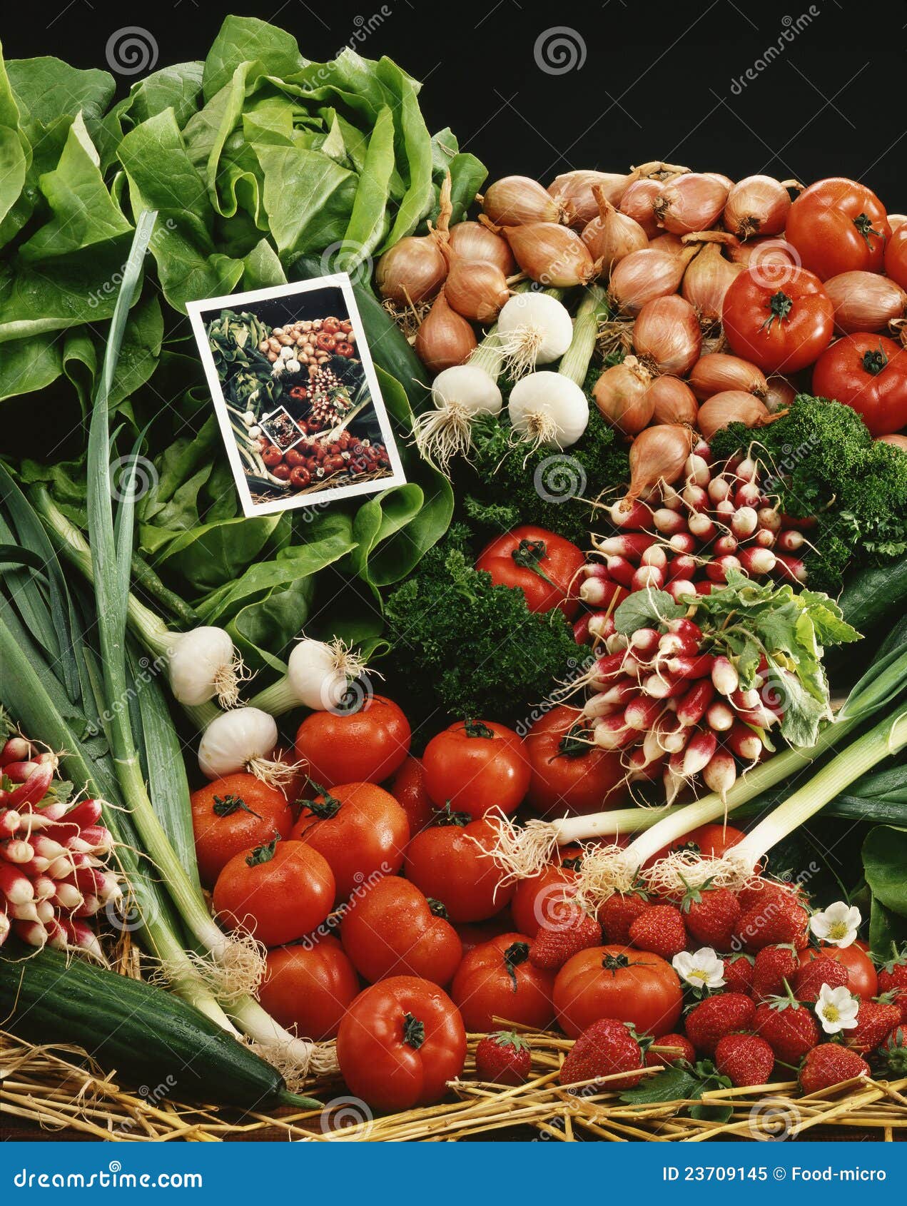 Vegetable composition stock image. Image of garden, cucumber - 23709145