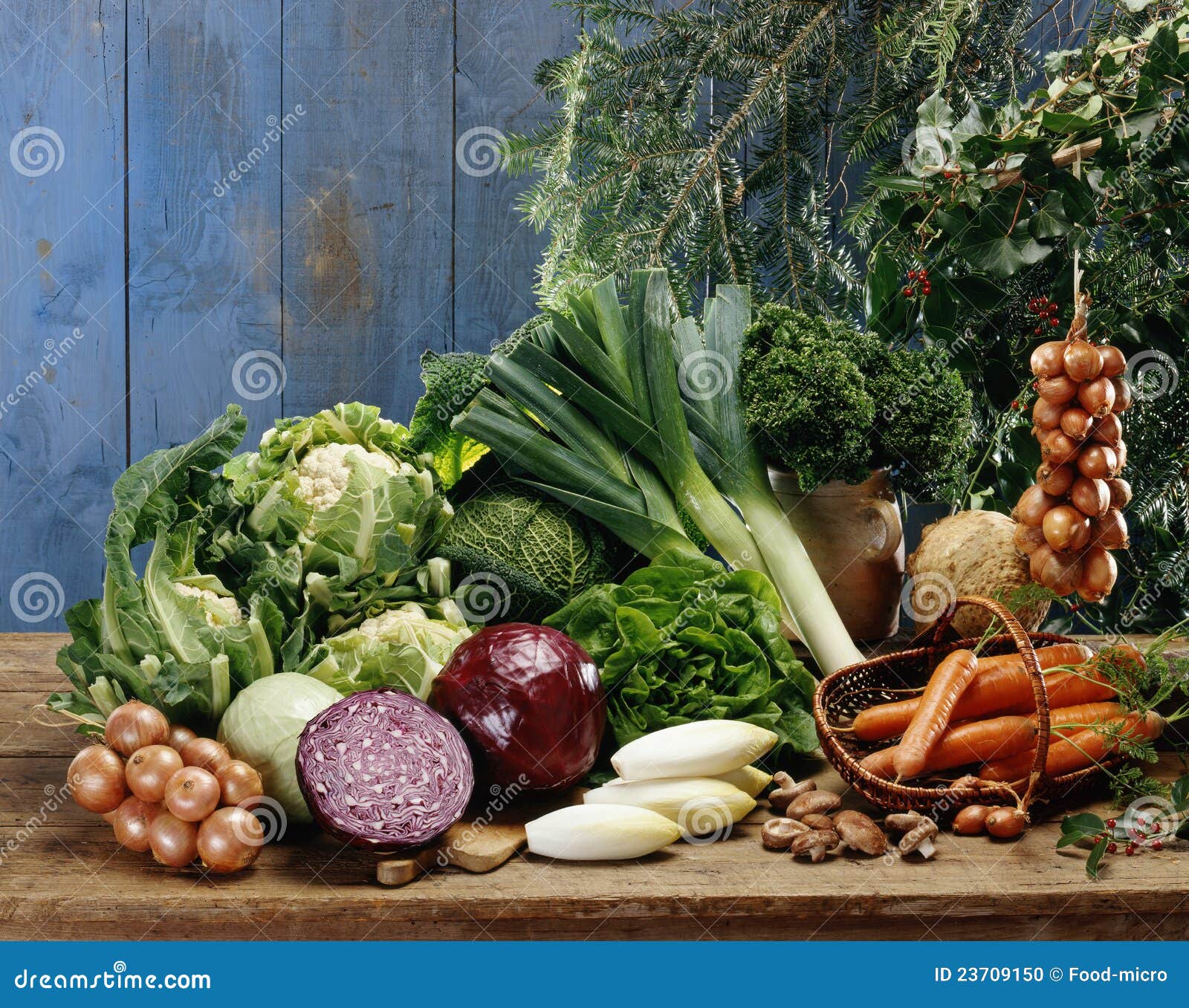 Vegetable composition stock photo. Image of color, composition - 23709150