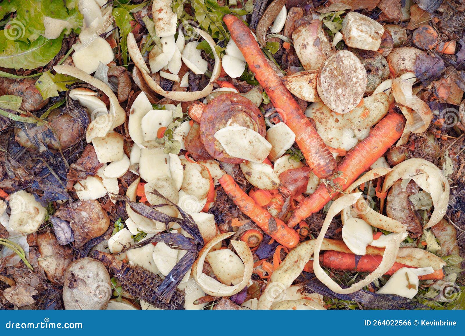 Vegetable Compost Peelings stock photo. Image of ecological - 264022566