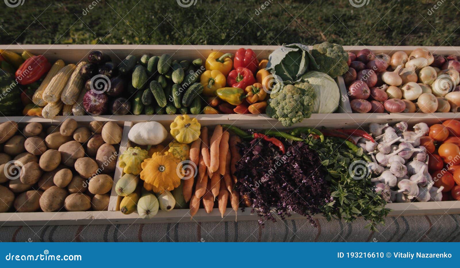 Vegetable Counter at Farmers Market. Stock Photo - Image of carrot ...