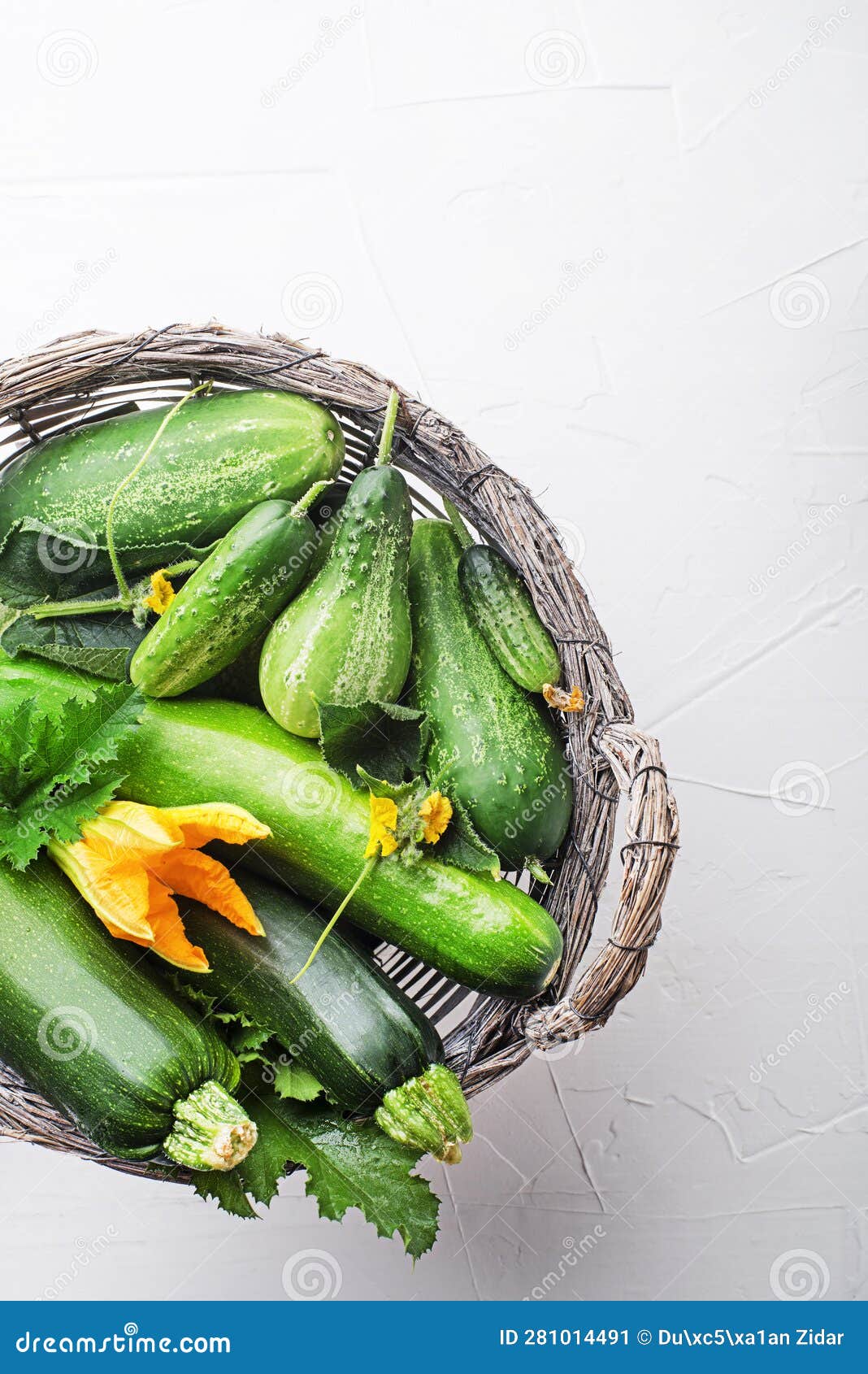 Vegetable Crops with Zucchini and Cucumber Vegetable Stock Image ...